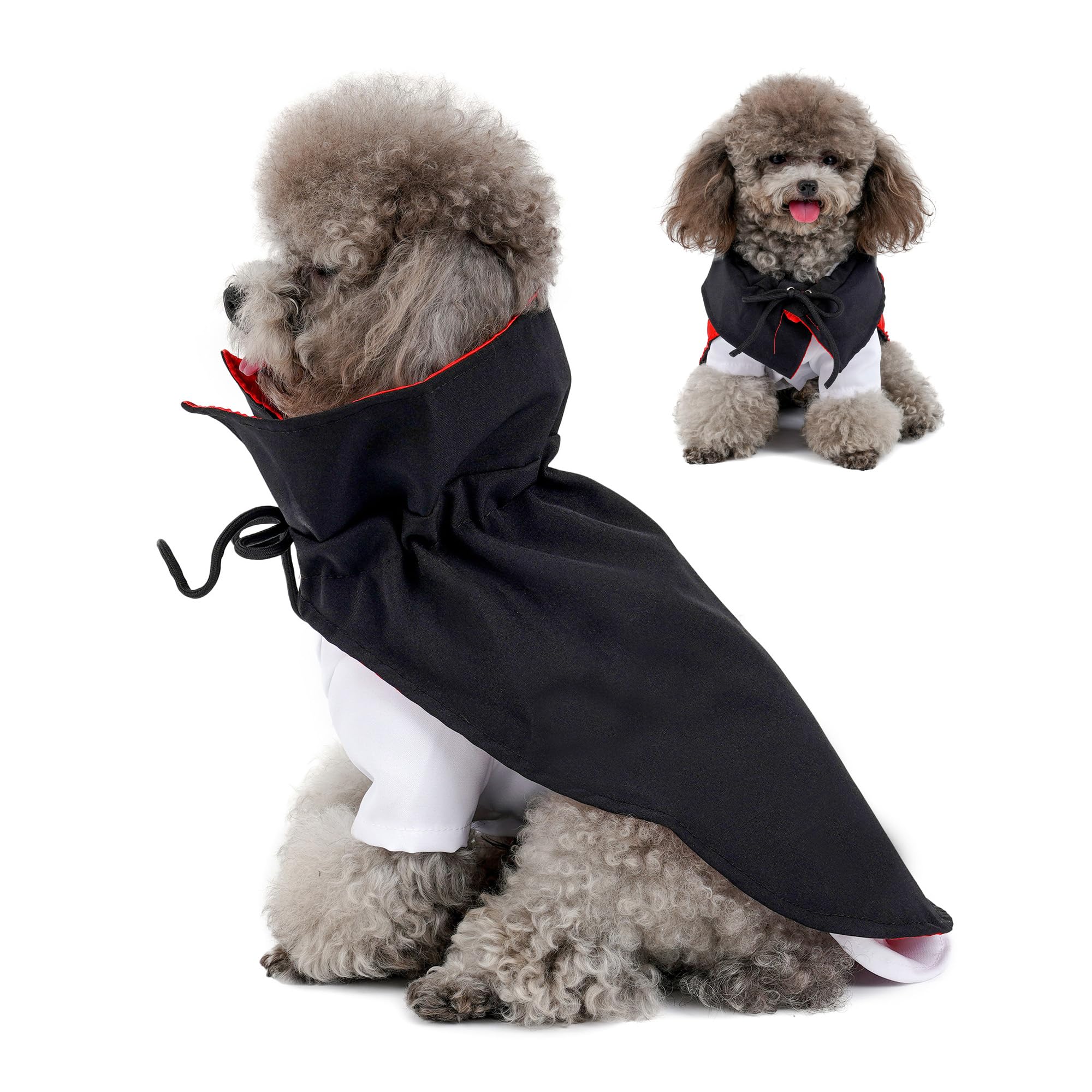 Amazon.com : Mogoko Funny Dog Vampire Costumes, Pet Halloween Christmas ...