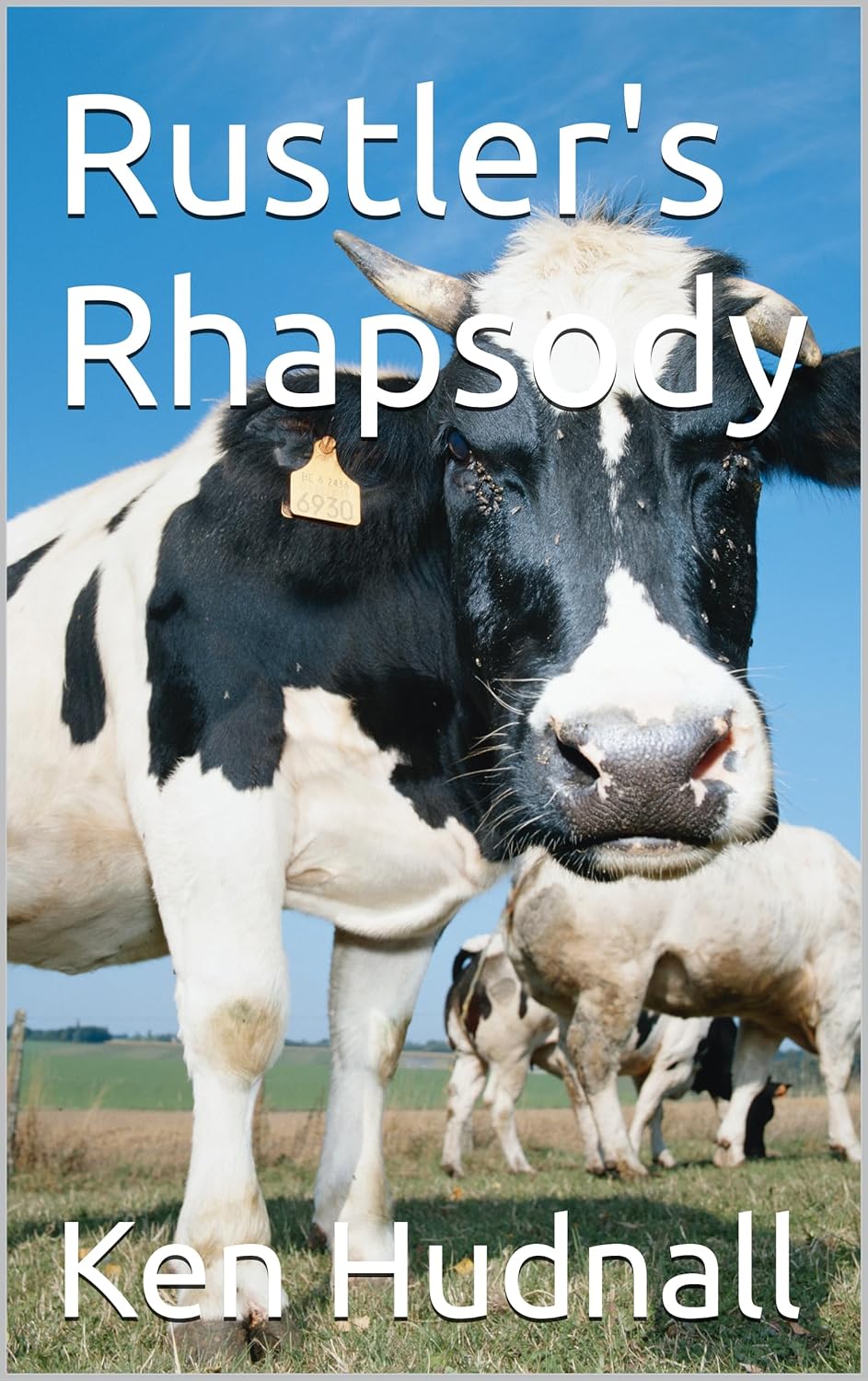Rustler's Rhapsody (The Young Riders Book 2) - Kindle edition by ...
