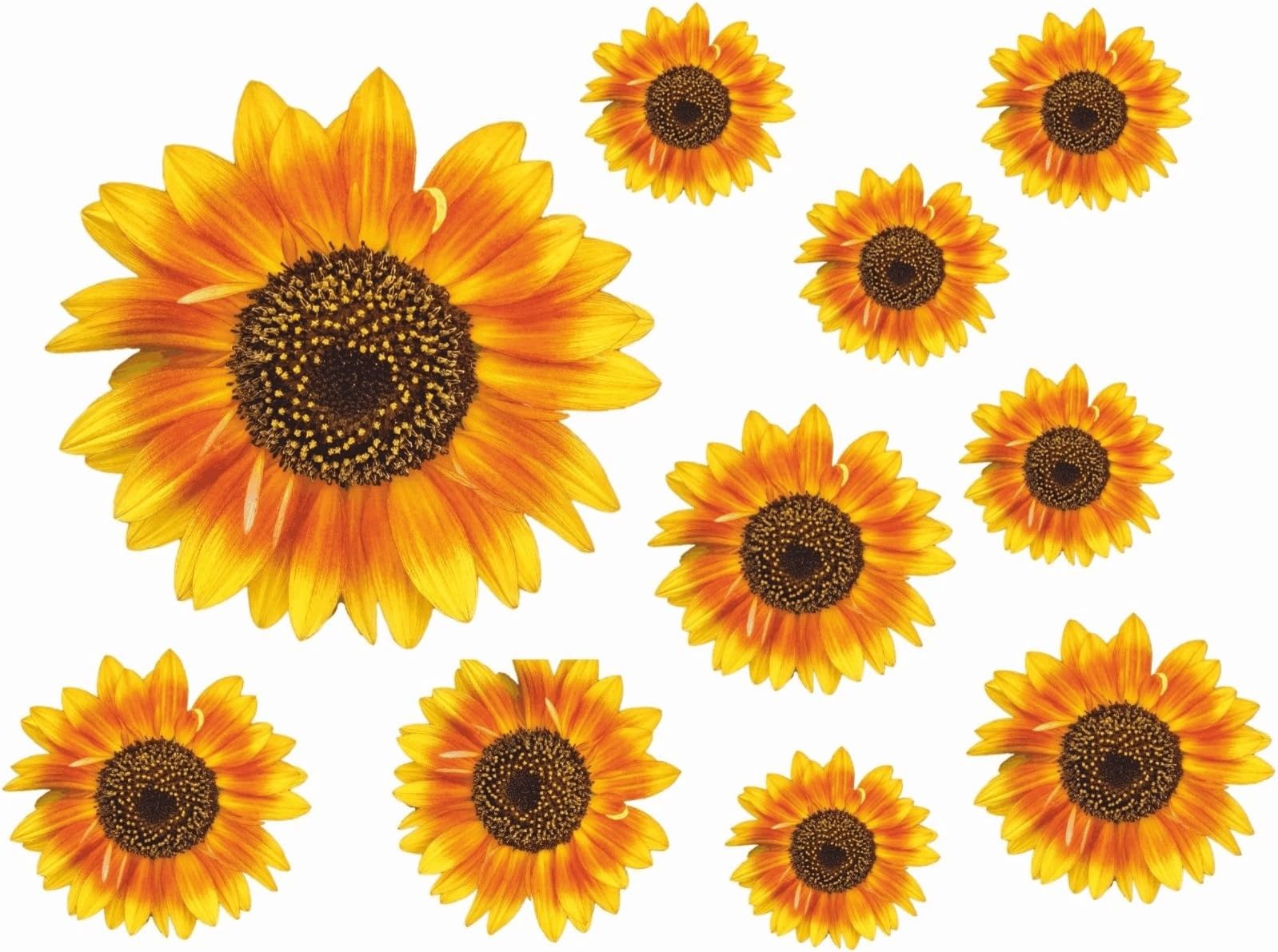 Aurum92 Sunflower Stickers : Amazon.co.uk: Home & Kitchen