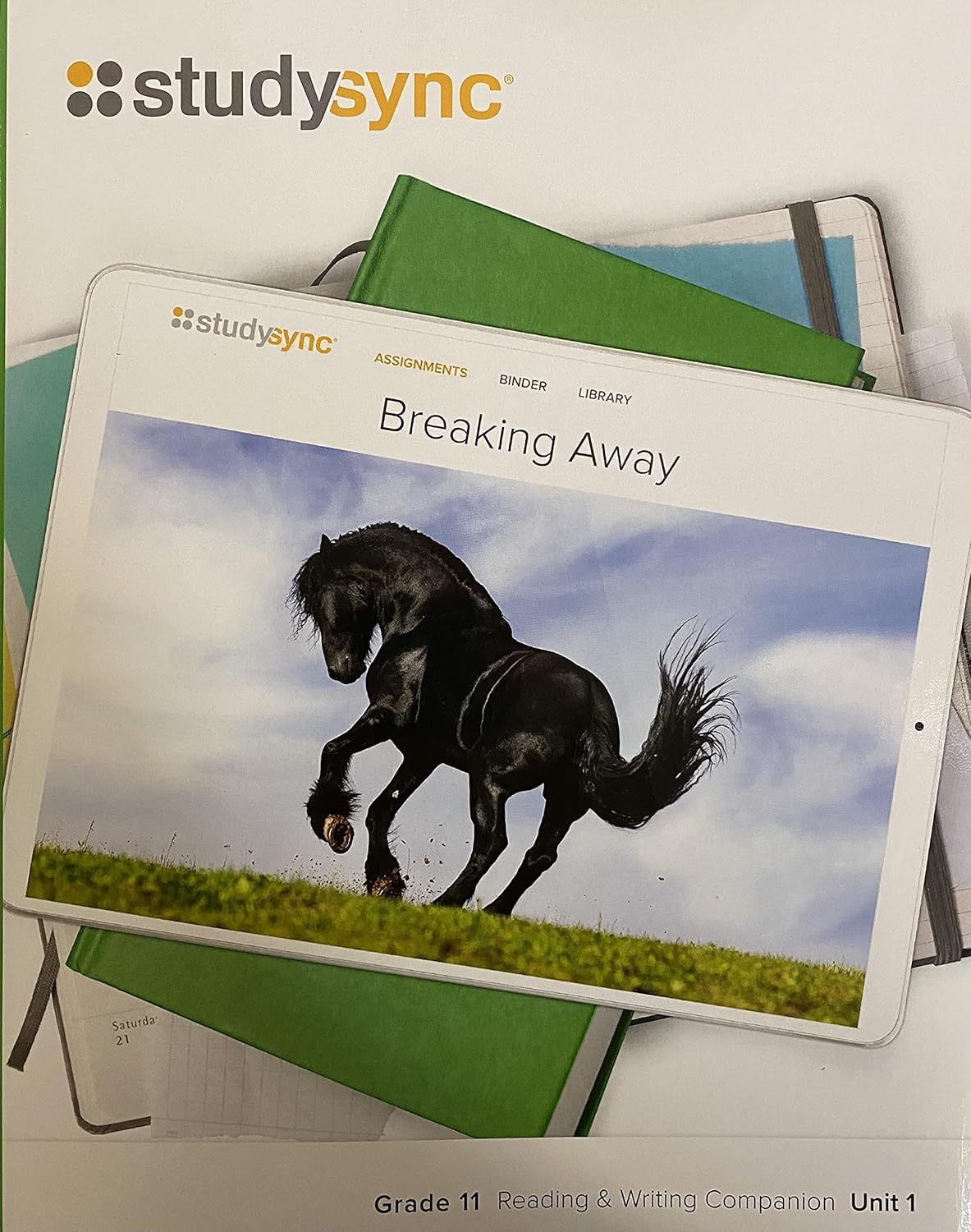 Core Ela Grade 11, Reading and Writing Companion, Unit 1 (Study Sync ...