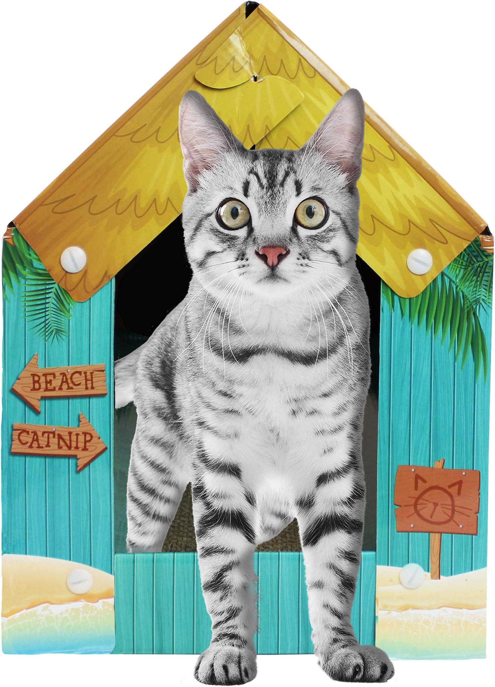 Amazon.com : Cardboard Cat House with 2pc Scratcher&Catnip - Christmas ...