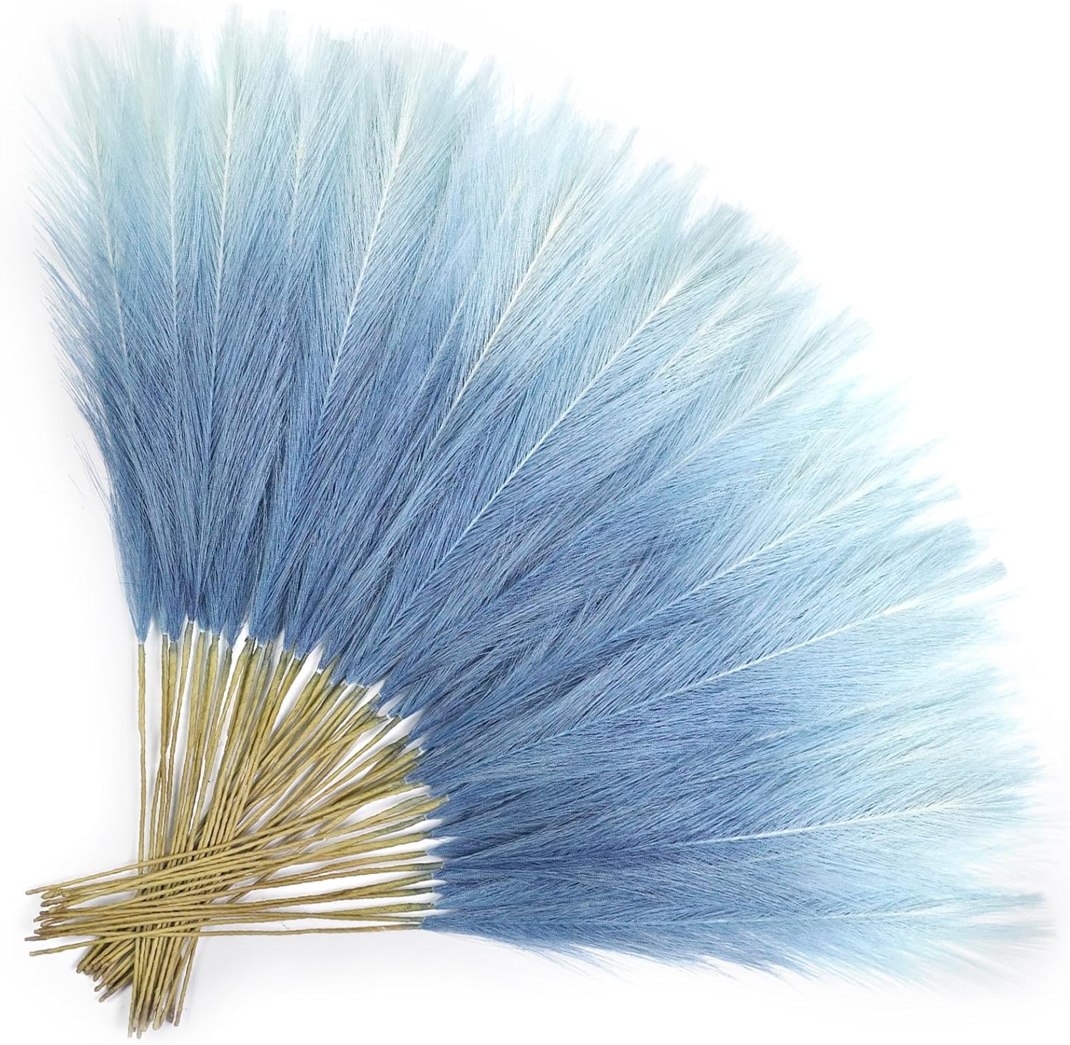 Amazon.com: TORONTOKYO Light Blue Pampas Grass Decor, 50Pcs 21.6 inch ...