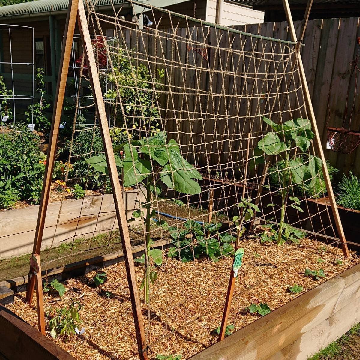 Snapklik.com : Miuezuth Plant Support Netting - Biodegradable Natural ...