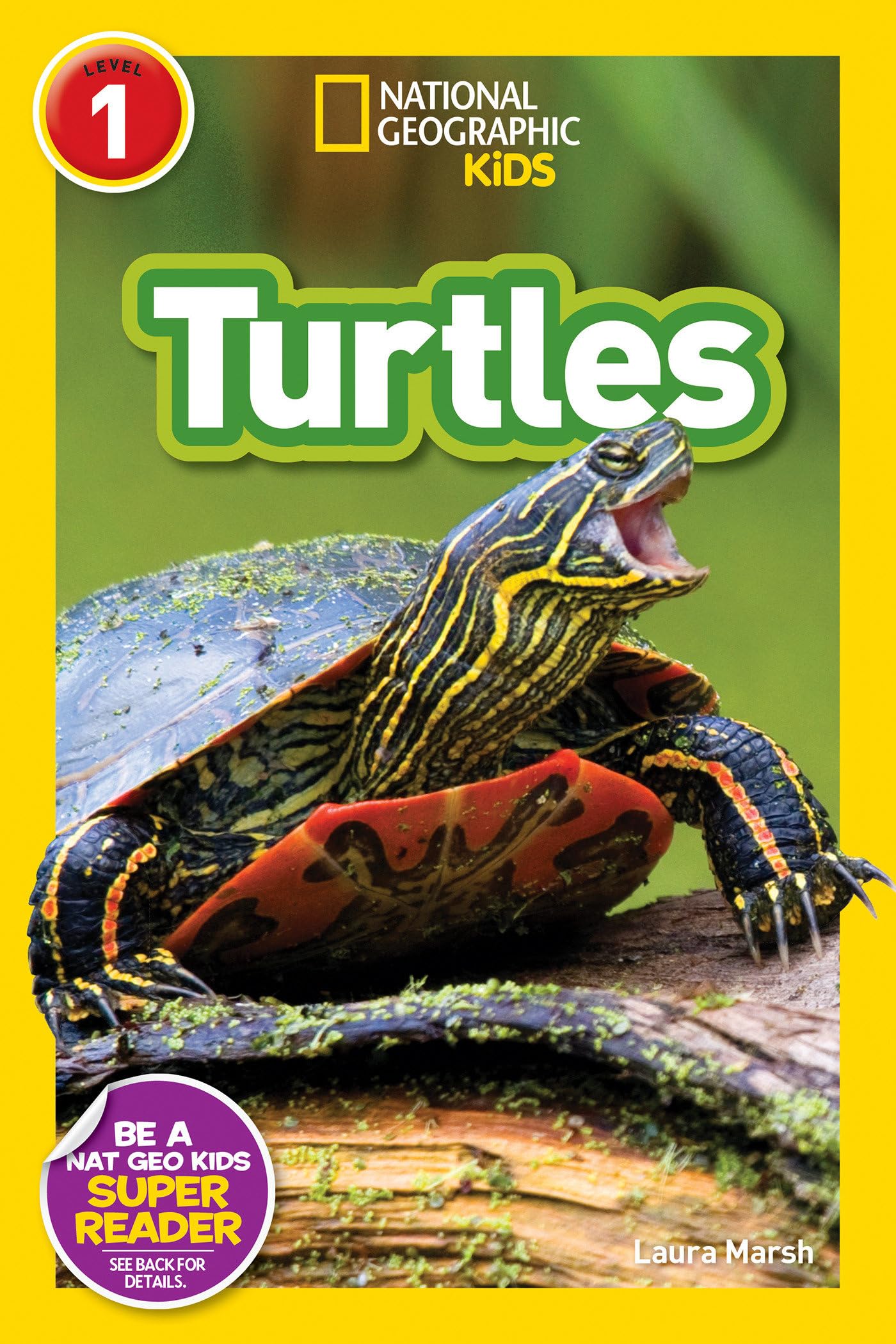 Amazon.com: Turtles (National Geographic Kids Readers, Level 1 ...