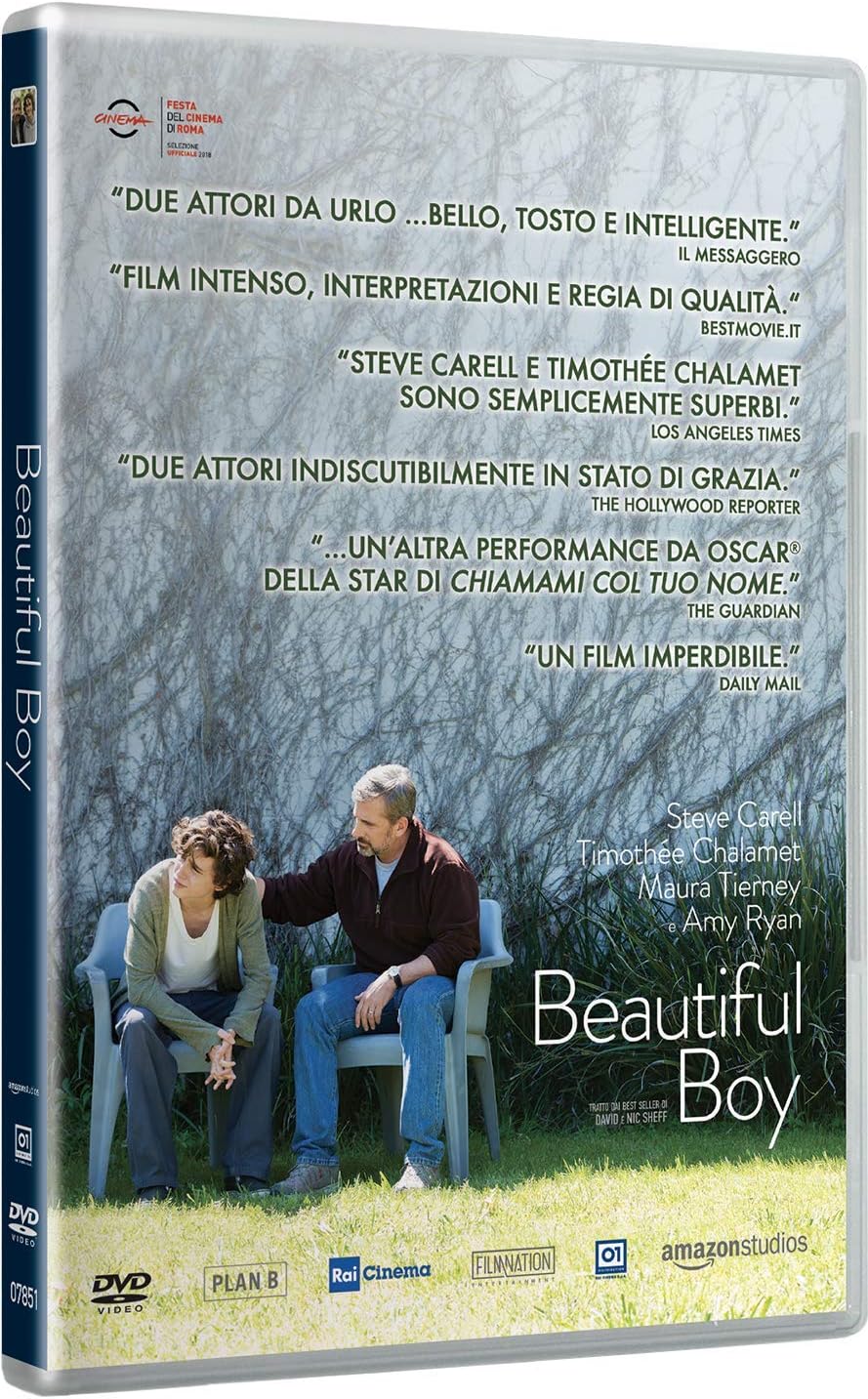 Beautiful Boy [DVD] (IMPORT) (No English version): Amazon.co.uk: Steve ...