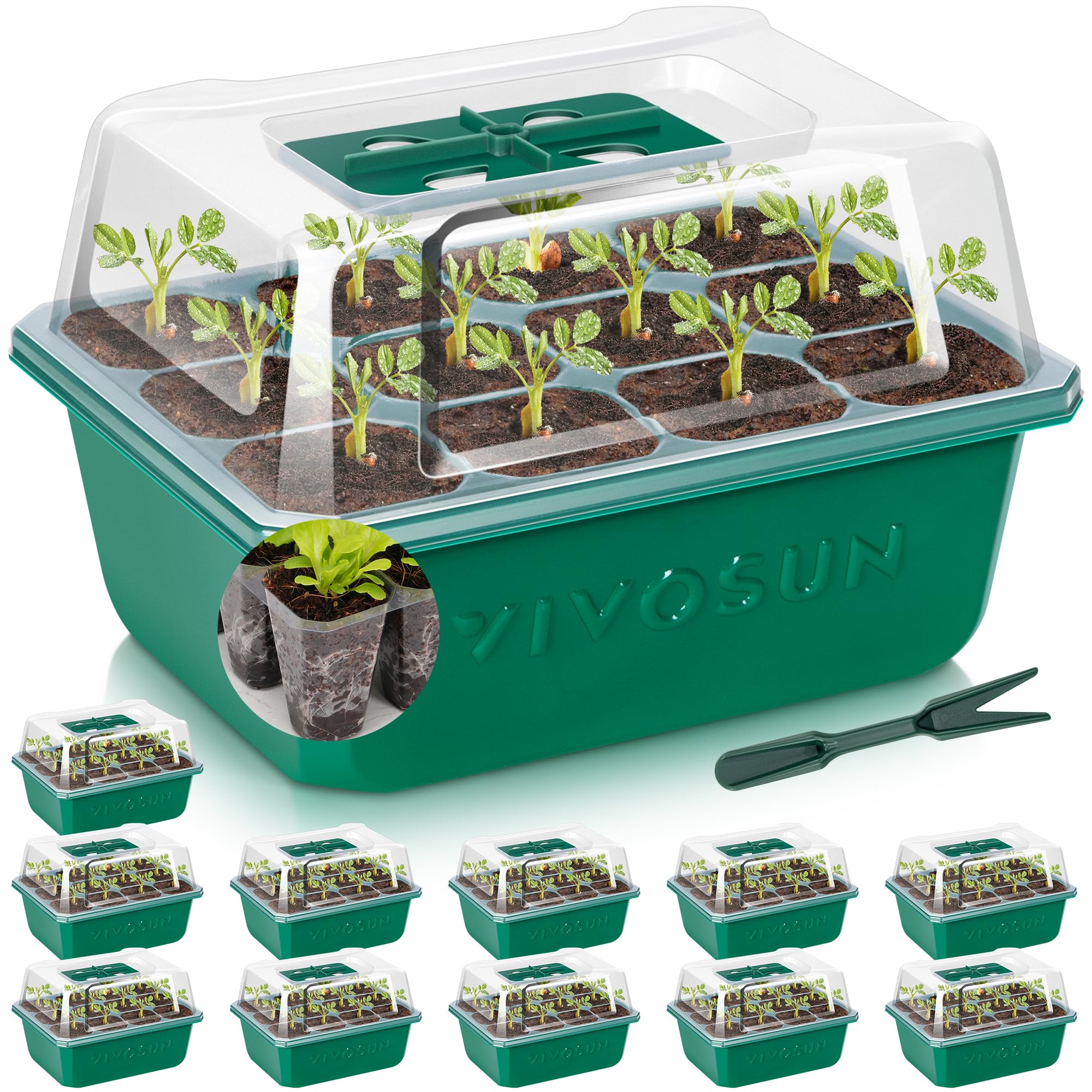5 Best Seed Starting Trays | Stop Killing Seedlings