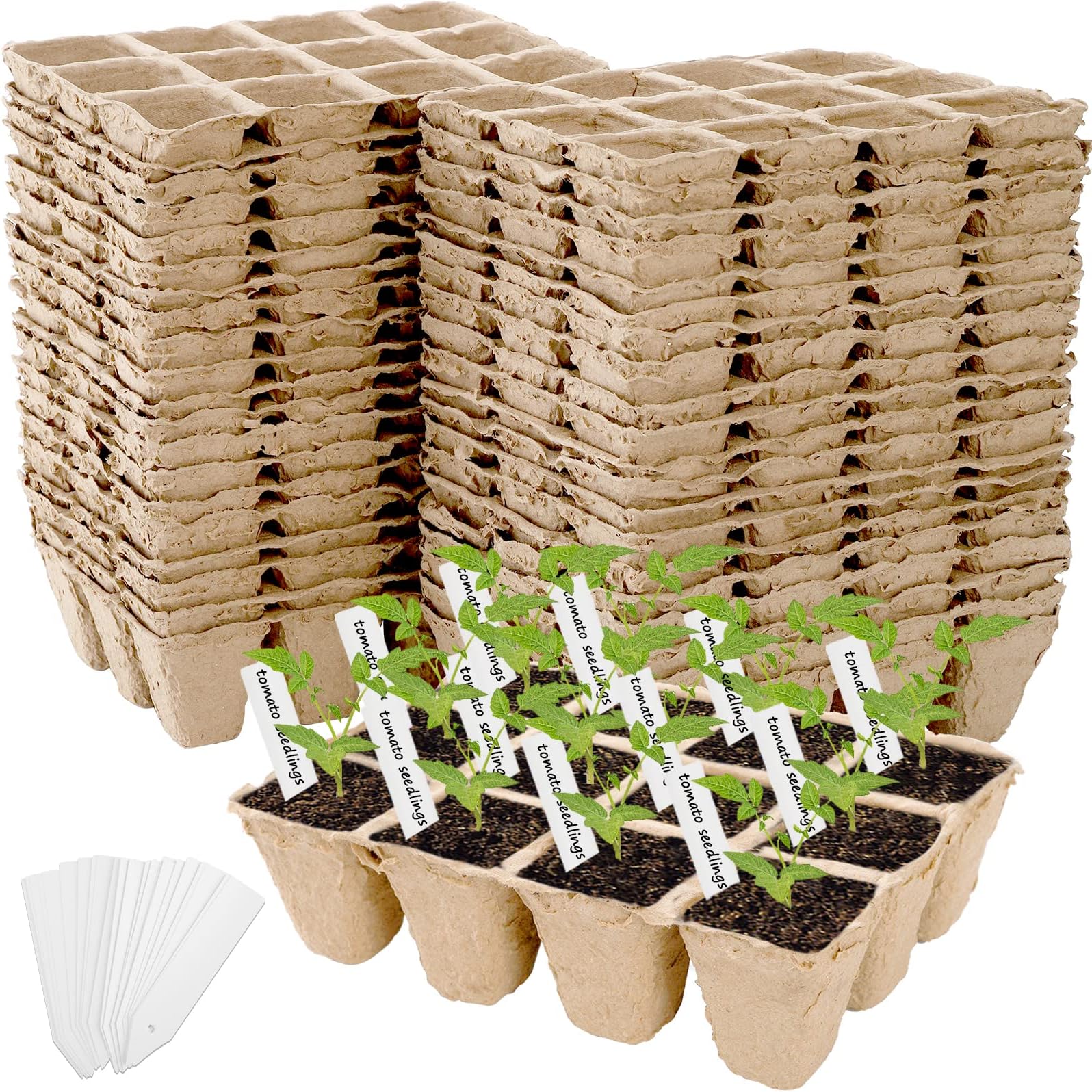 Amazon.com : ZOENHOU 30 Pack 300 Cells Flower Starter Peat Pots Tray ...