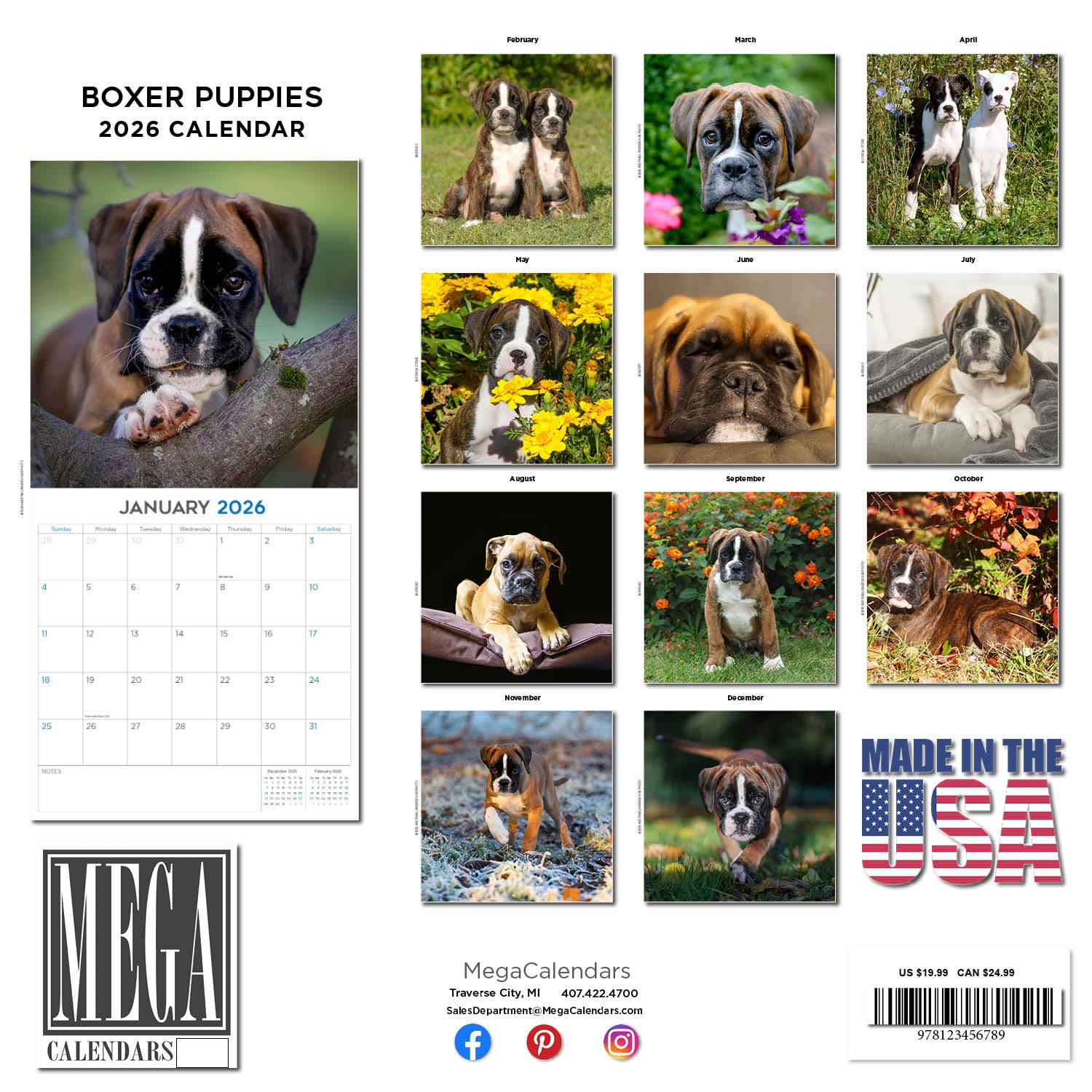 Snapklik.com : 2026 Boxer Puppies Calendar - Dog Breed Wall Calendar ...