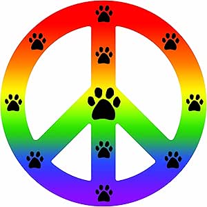 Amazon.com: Imagine This Peace Car Magnet Sign, Rainbow, 41/2-Inch by 4 ...