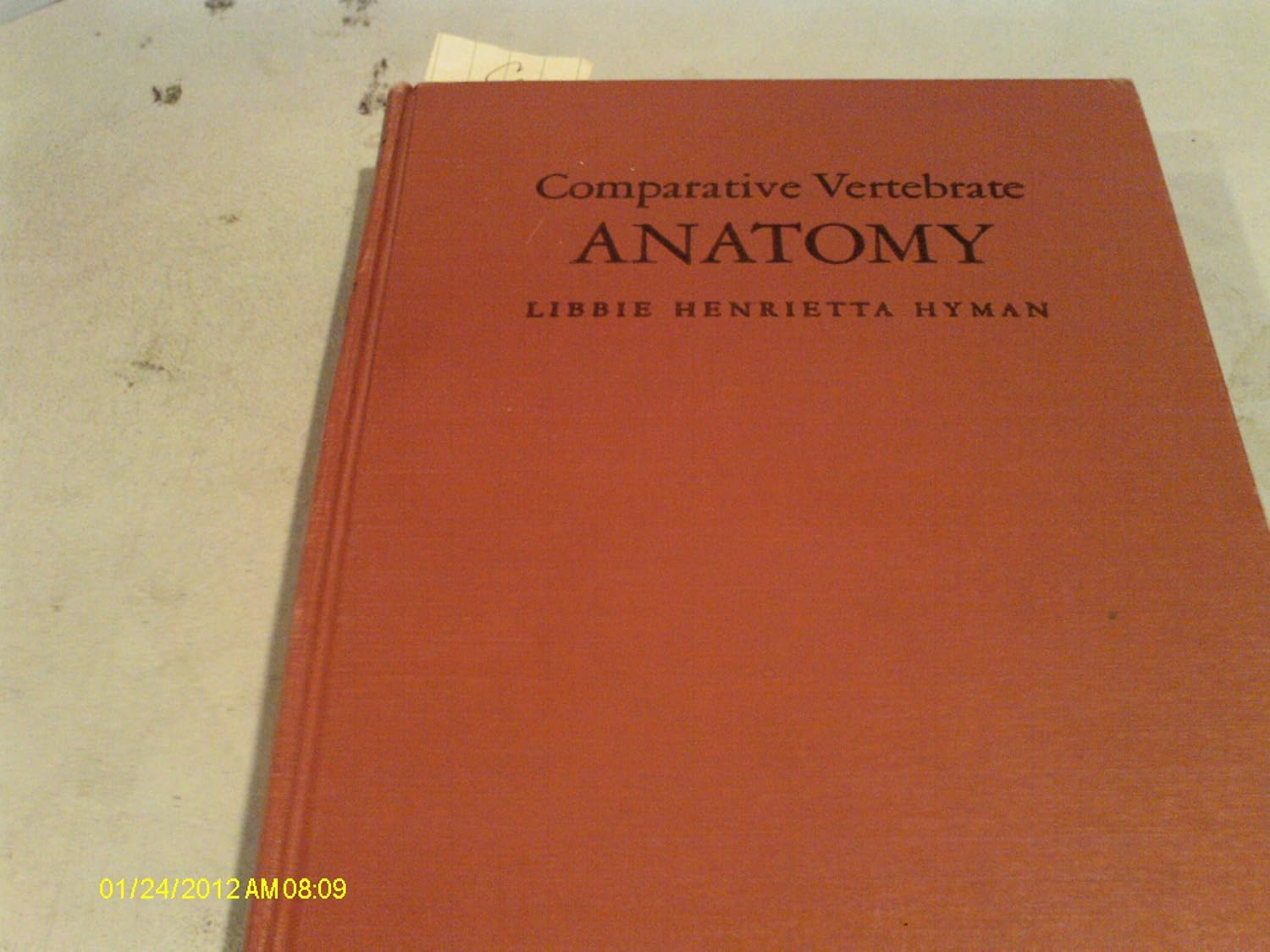 COMPARATIVE VERTEBRATE ANATOMY. 2ND EDITION: Hyman, L., Drawings ...
