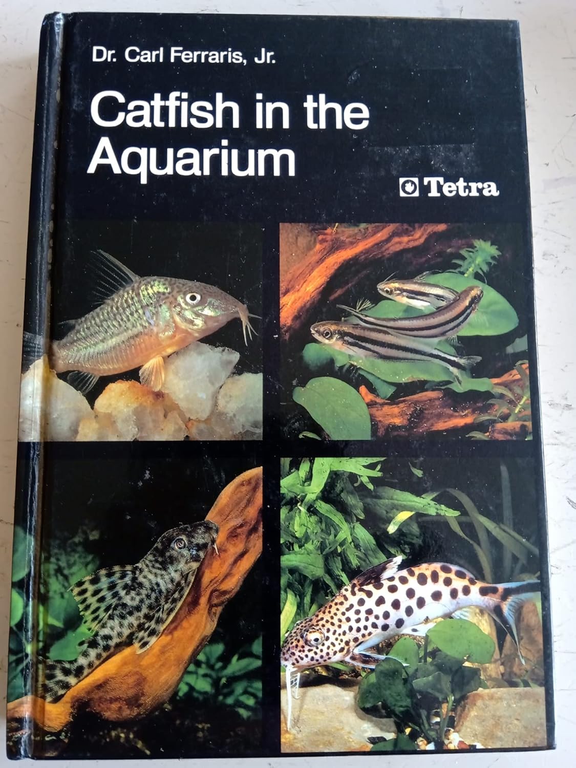 Catfish in the Aquarium: Ferraris, Carl: 9783893560431: Amazon.com: Books