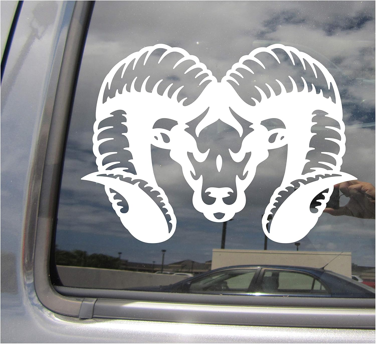 Amazon.com: - Ram Head - Male Sheep Farm - Cars Trucks Moped Helmet ...