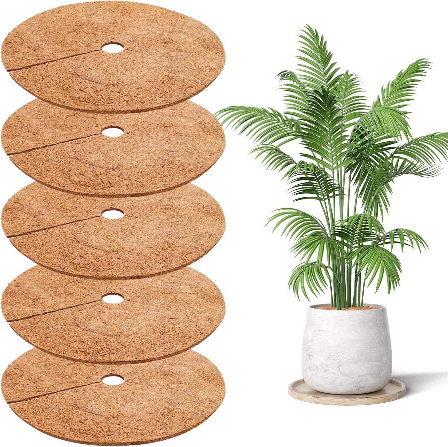 Amazon.com : Sukh Coconut Fibers Plant Protector Mat - 3PCS Tree Mulch ...