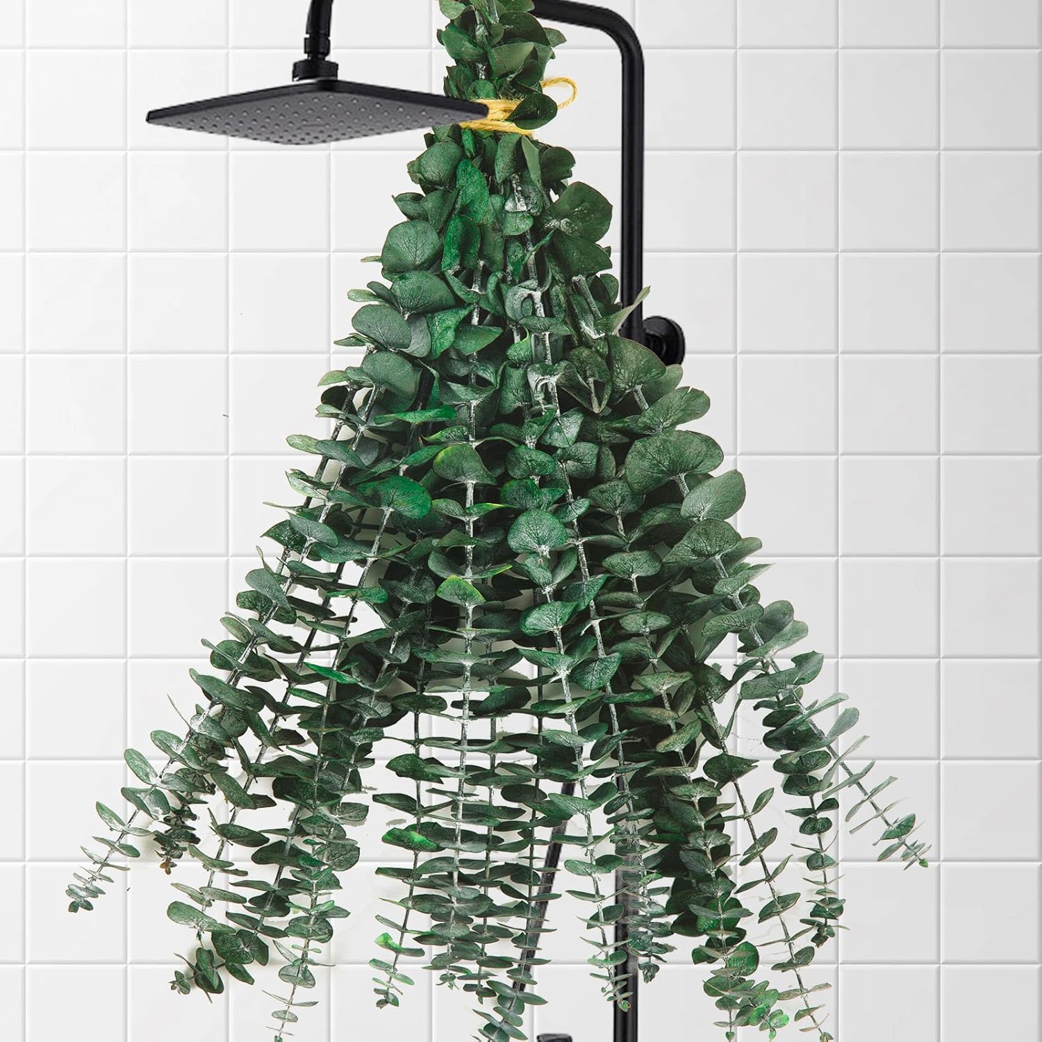 Amazon.com: Tavkite 20 Pcs Dried Eucalyptus Stems for Shower, 17 ...
