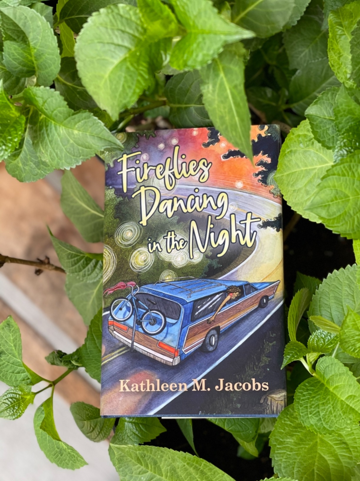 Amazon.com: Fireflies Dancing in the Night: 9781950895915: Jacobs ...