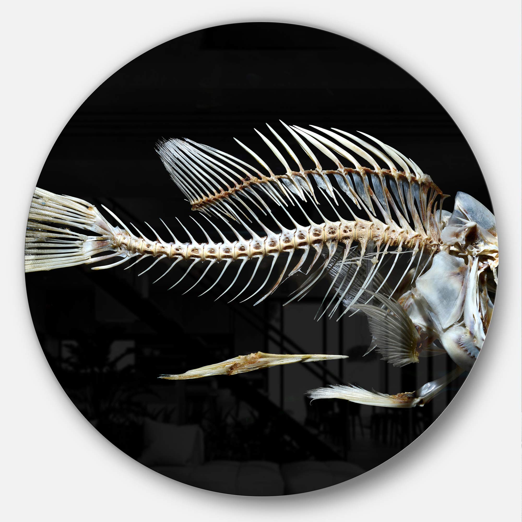 Fish Skeleton Designs Rotten Fish Skeleton With Bones Hand Drawn