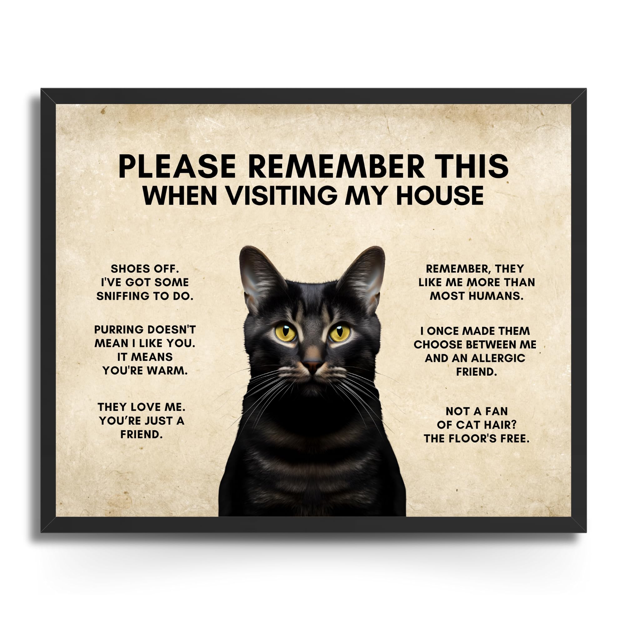Funny Cat House Rules Wall Print - 8x10 Inch Black Cat Poster - Cat ...