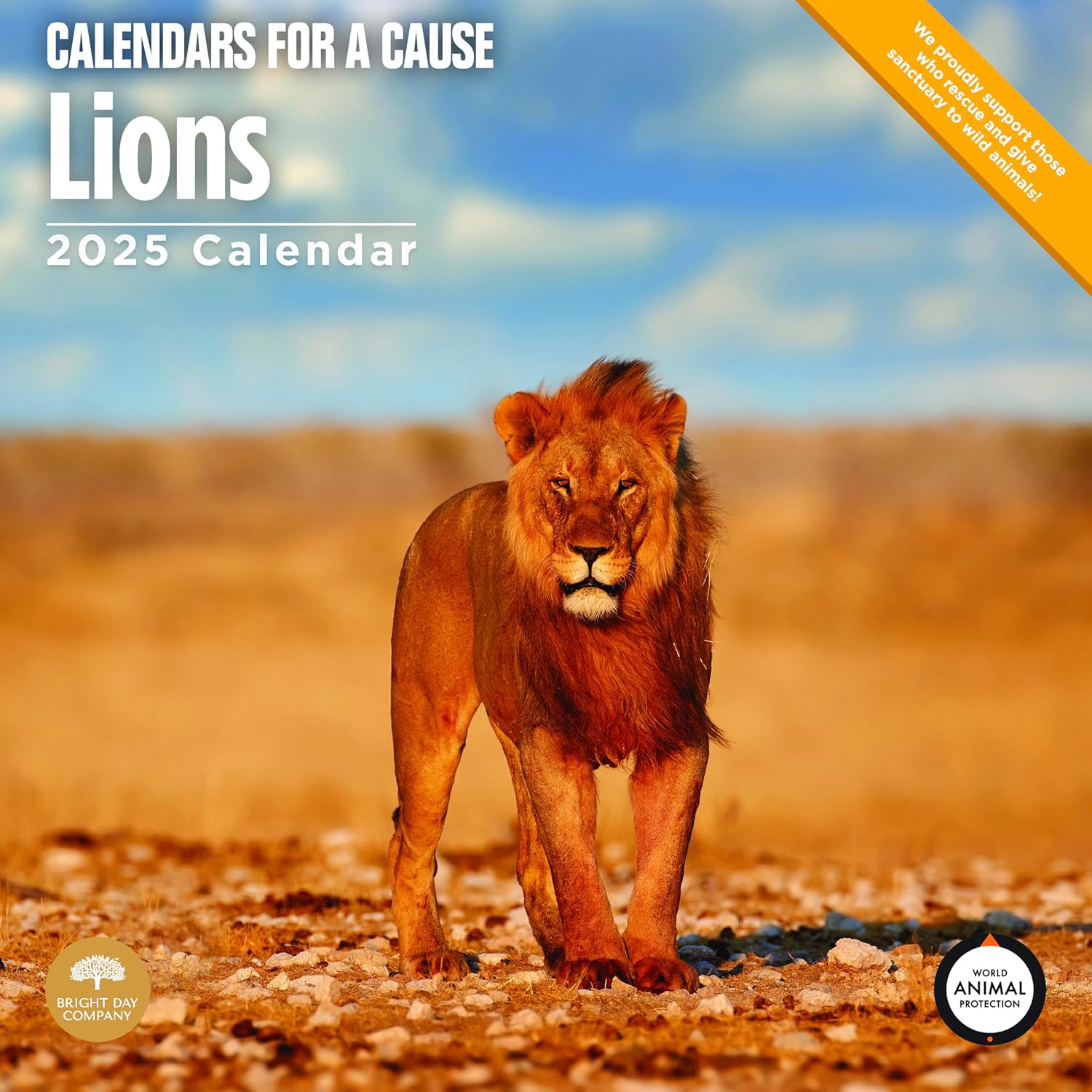 Bright Day Calendrier mural mensuel 2025 Lions 30,5 x 30,5 cm : Amazon.ca: Fournitures pour le ...