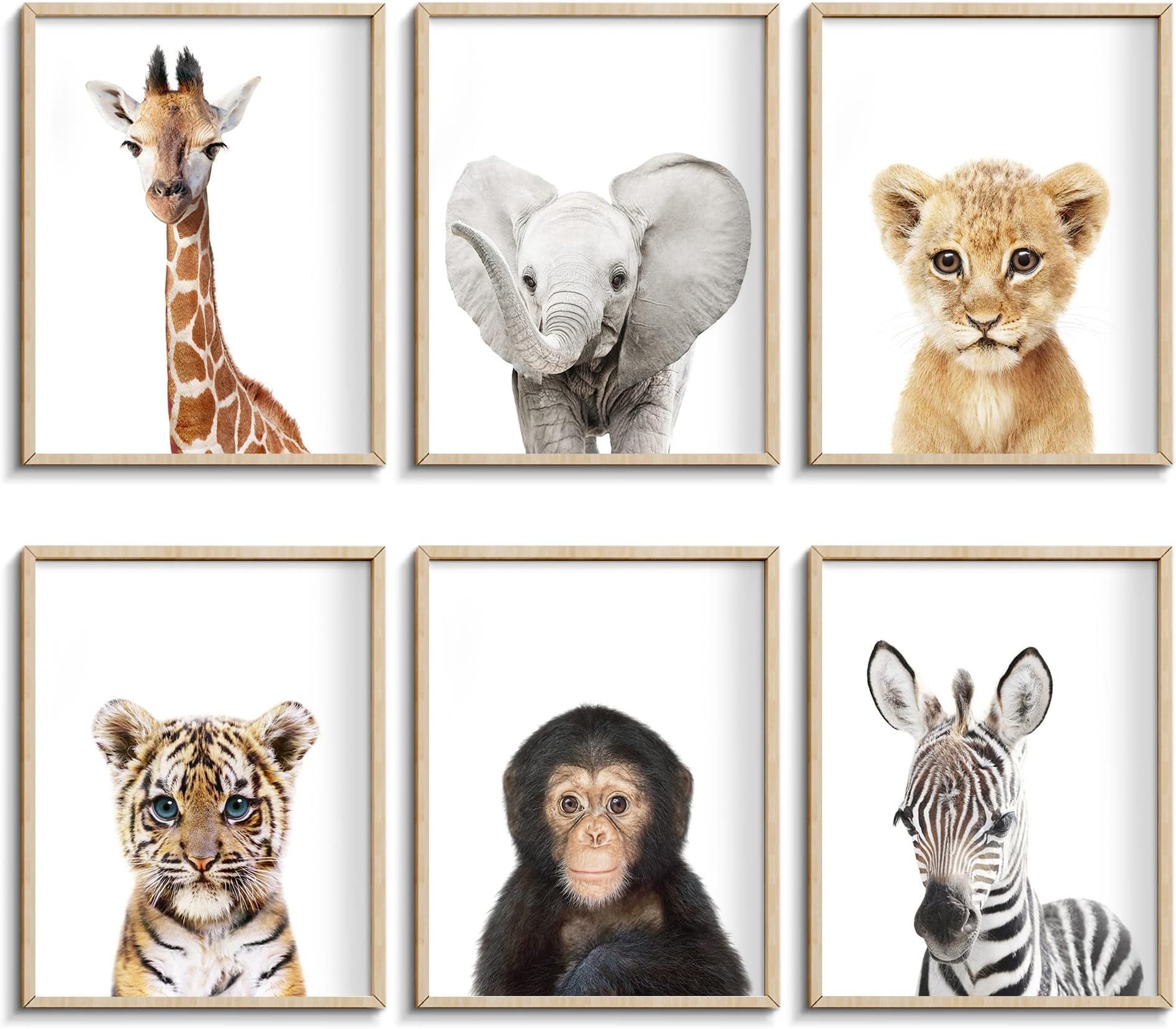 Amazon.com: Baby Nursery Decor,Nursery Wall Decor for Baby Room,Jungle ...