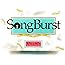 Amazon.com: Song Burst 70's and 80's Edition The Complete-The-Lyric ...
