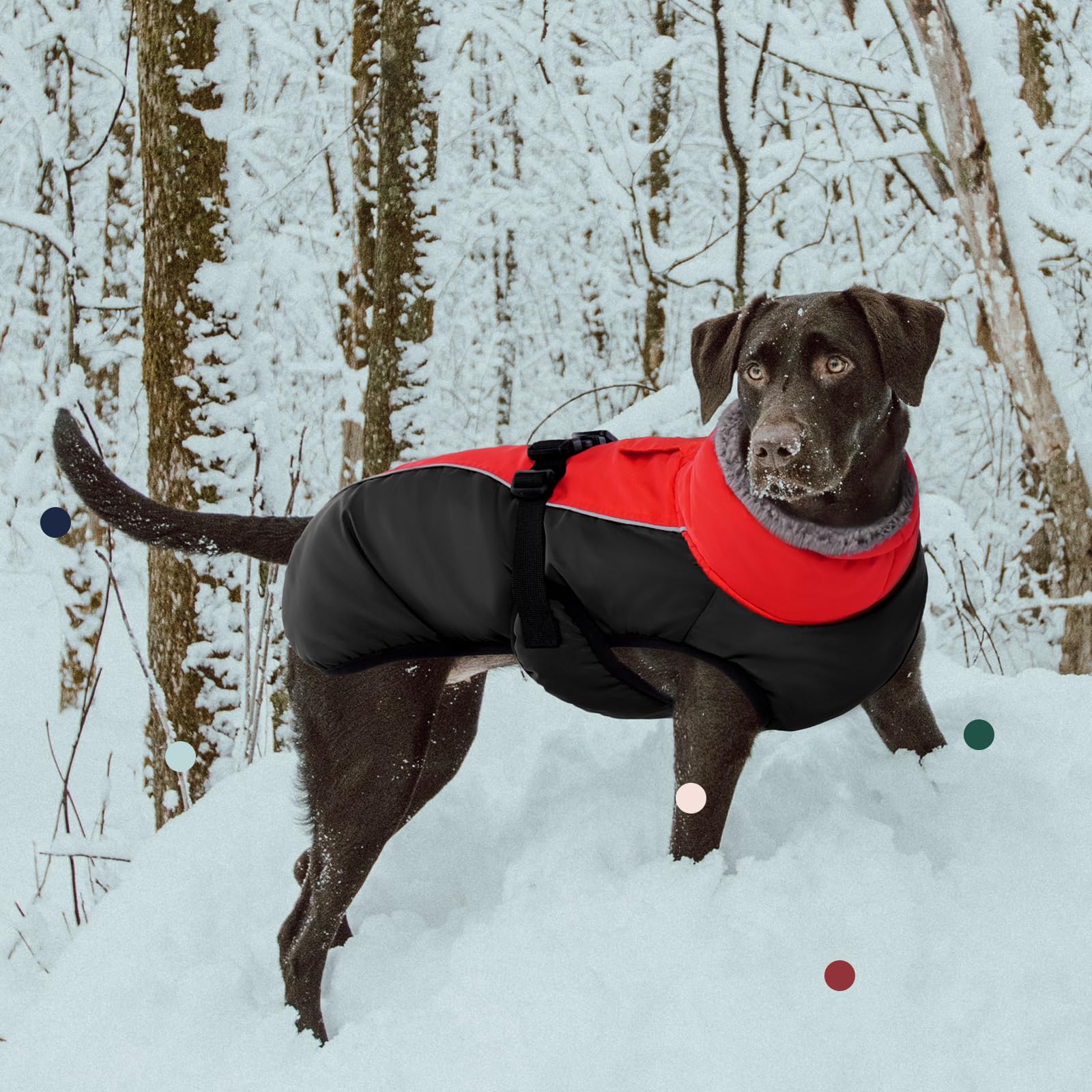 Water Resistant Dog Jacket