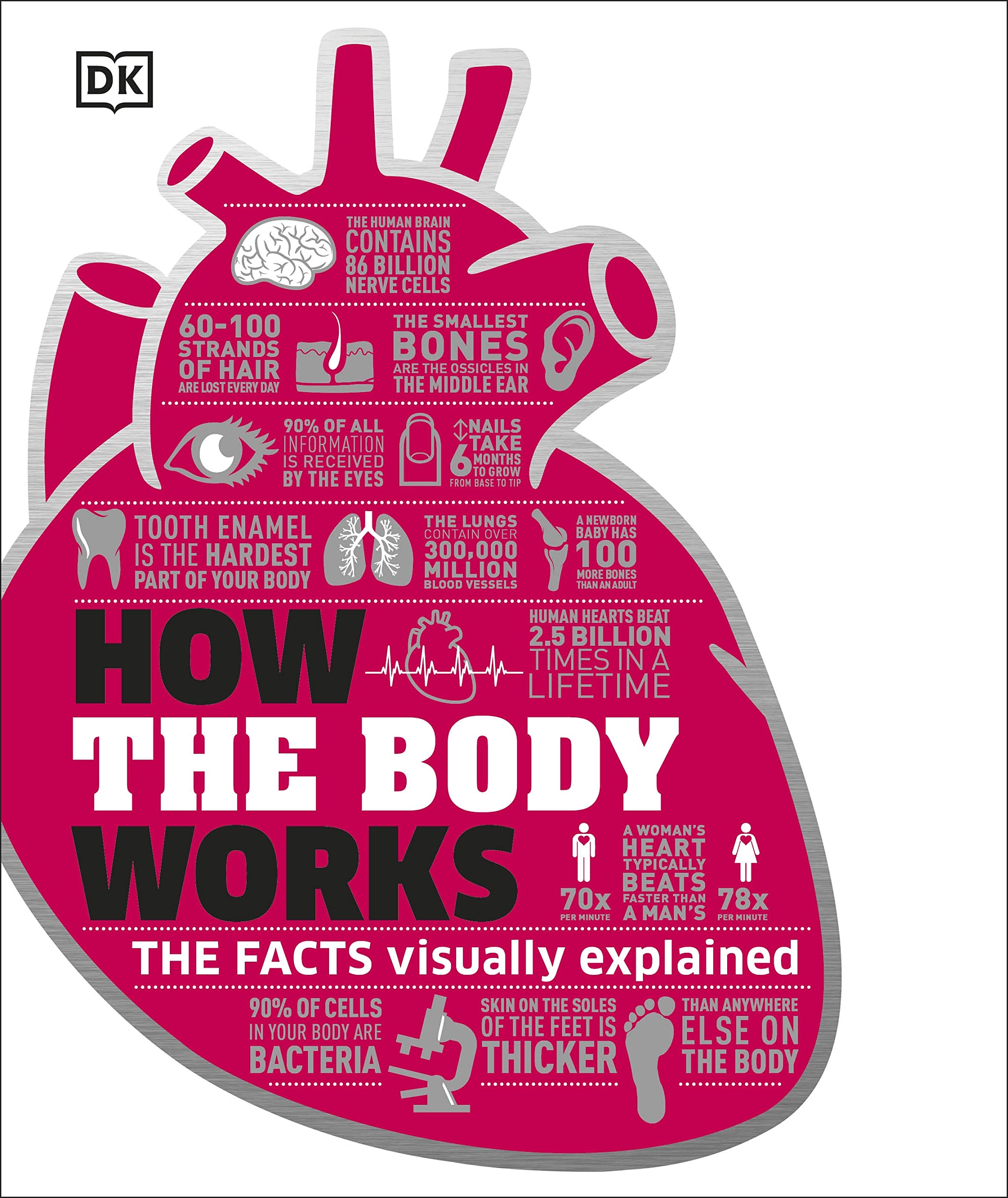 How the Body Works: The Facts Simply Explained (DK How Stuff Works): DK ...