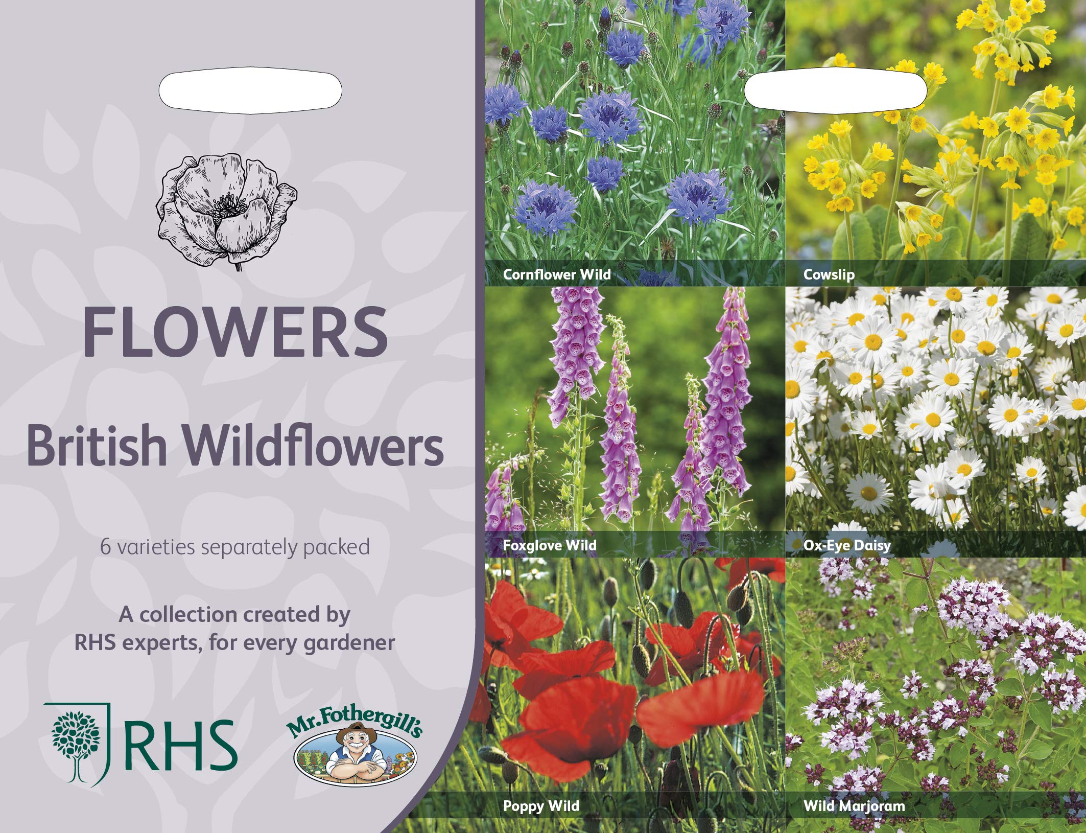 Mr Fothergills RHS British Wildflowers Collection Seeds : Amazon.co.uk ...