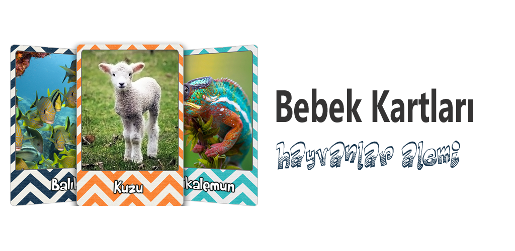 Learning Cards For Babies & Toddlers - Animals - App on Amazon Appstore