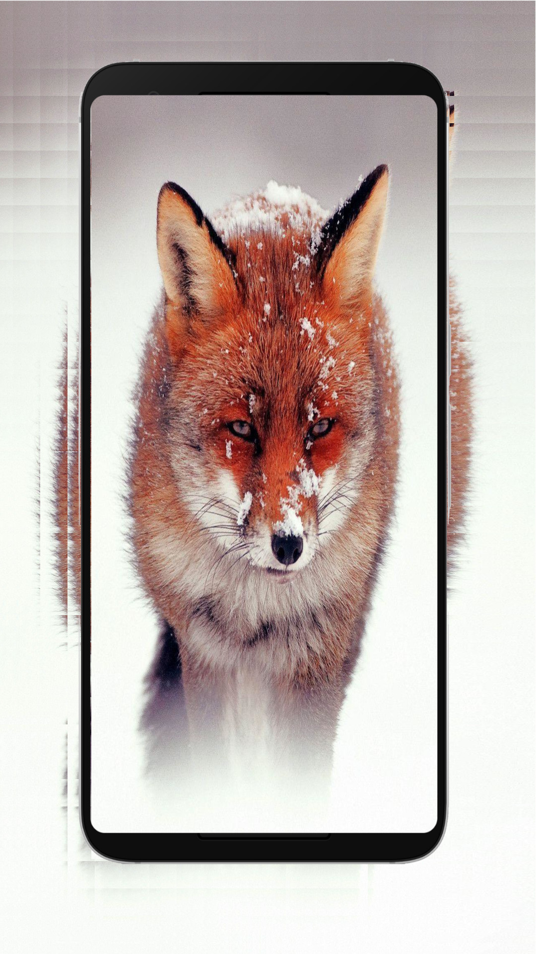 HD Wild Animal Wallpapers - App on Amazon Appstore