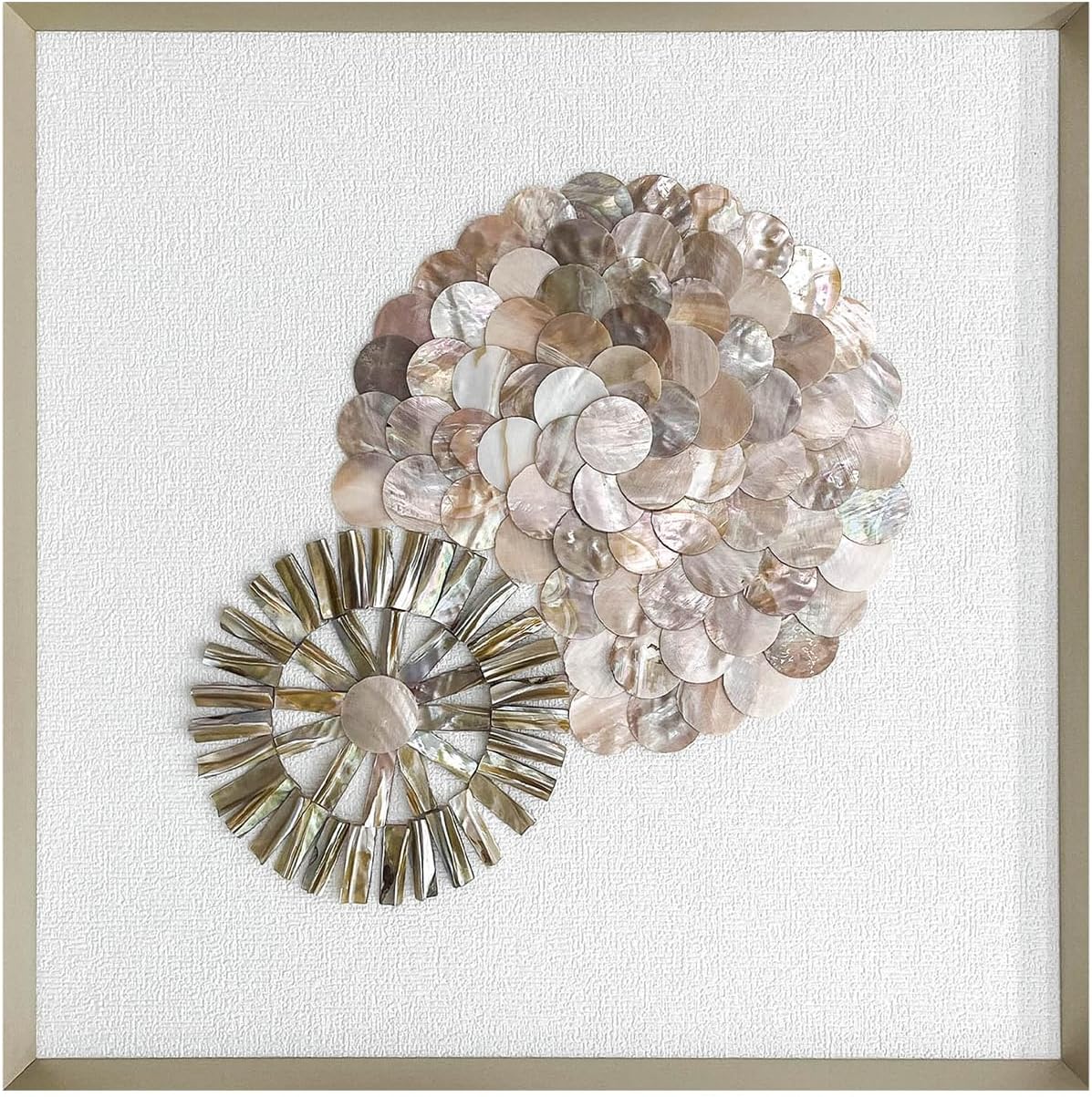Amazon.com: shaped natural sea shell 3D shadow box wall art 16.9 x 16.9 ...