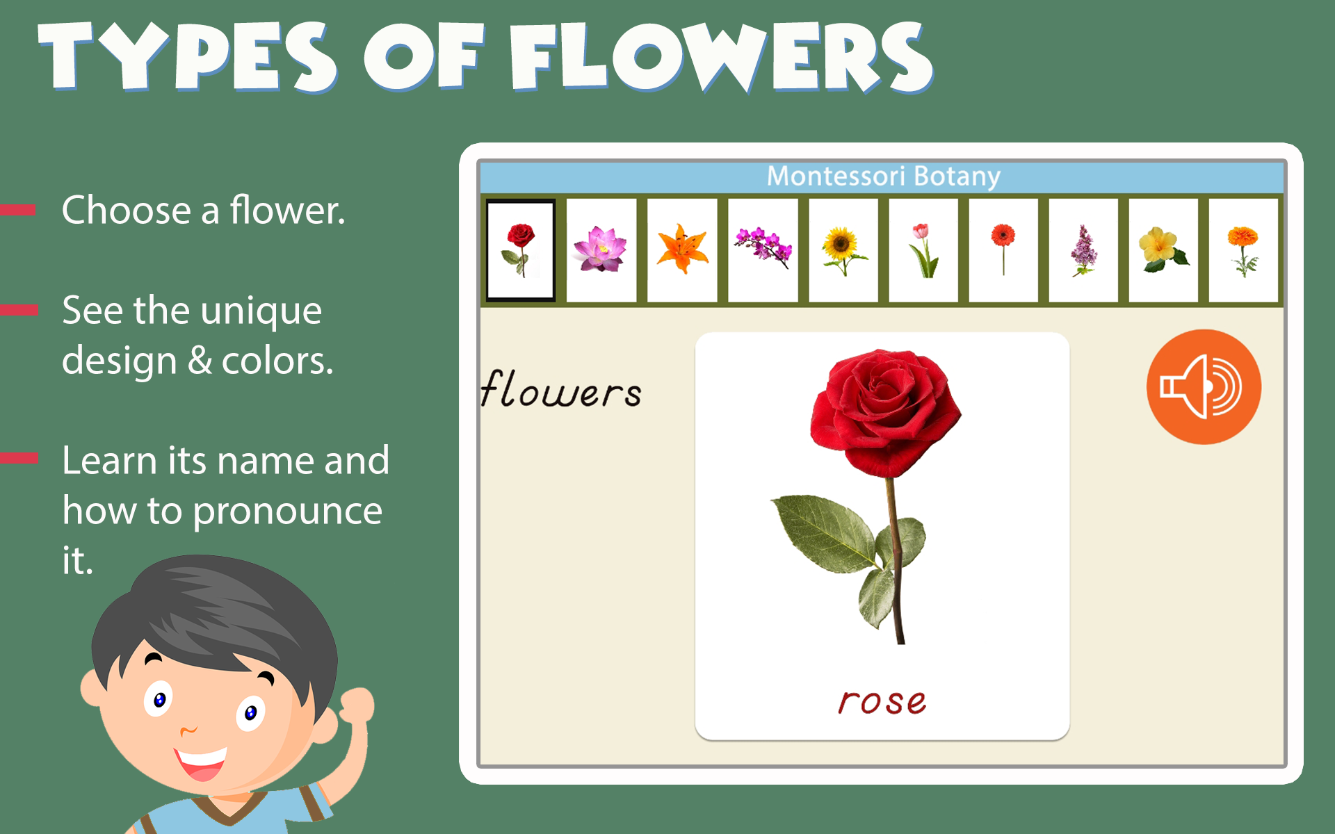 Montessori Botany - Parts of Plants - App on Amazon Appstore