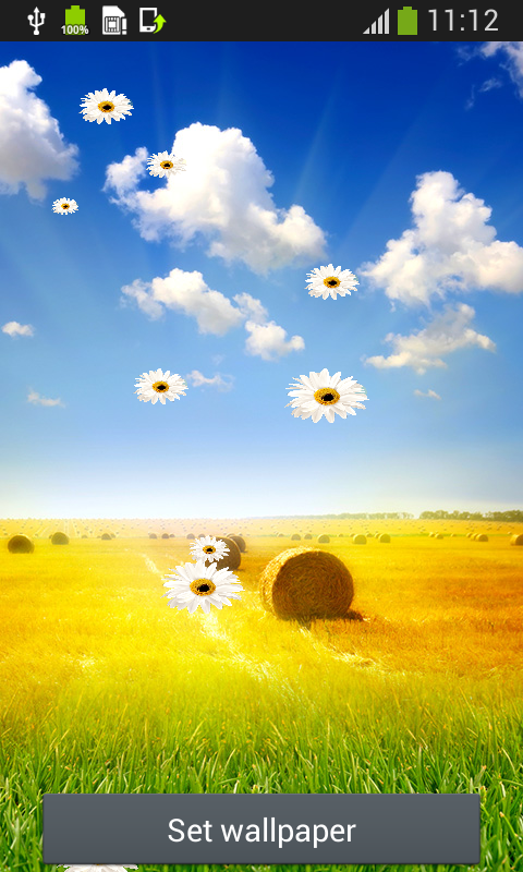 Summer Live Wallpapers Summer Desktop Wallpaper Background HD ...