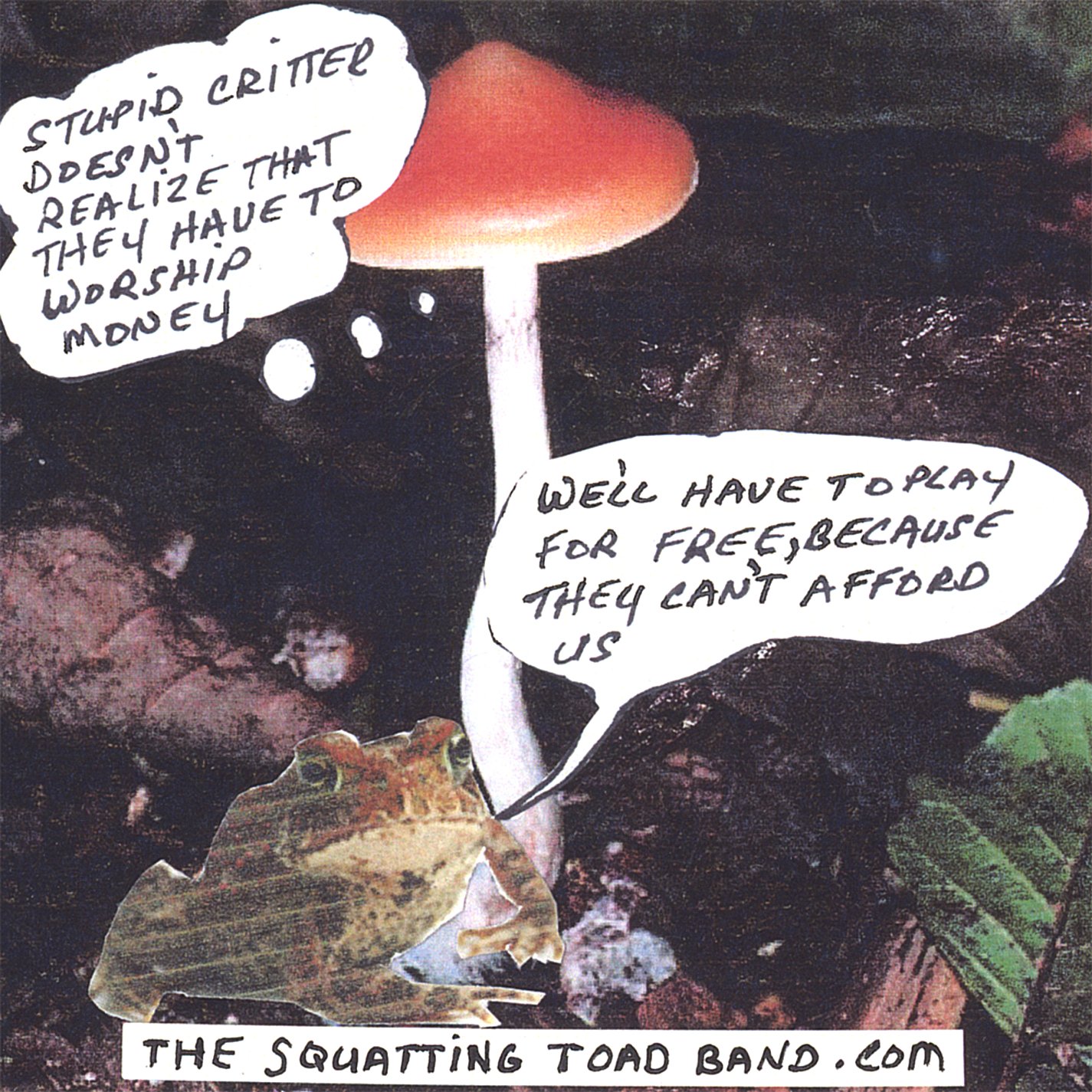 Squatting Toad Band - We'll Have to Play for Free Because You Can't ...