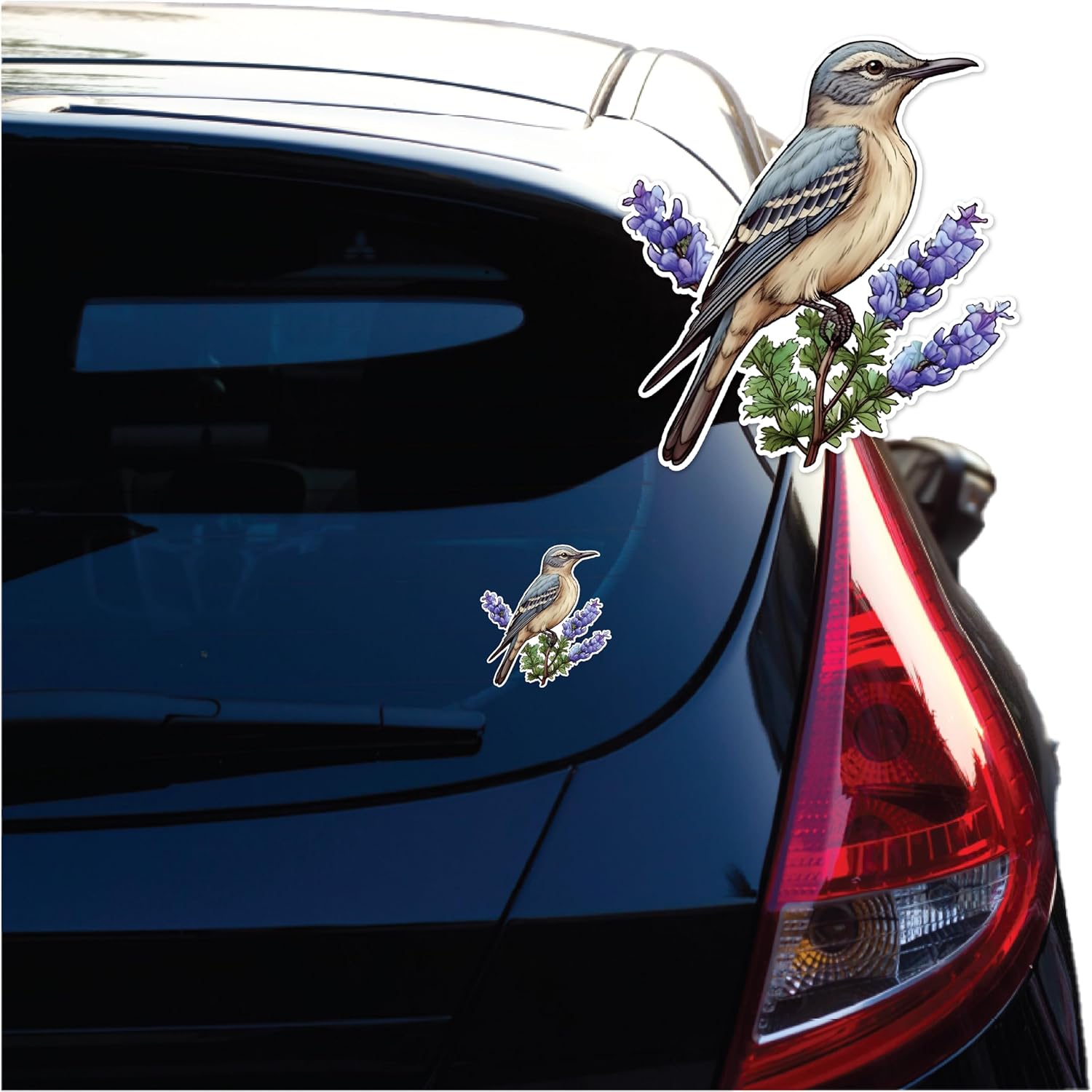 Amazon.com - Yoonek Graphics Texas Northern Mockingbird Bird Bluebonnet ...