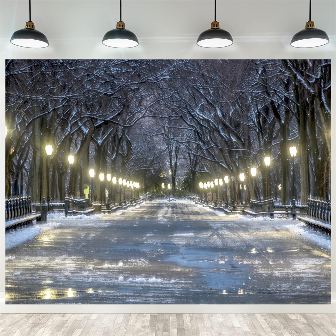Backdrops Central Park Winter
