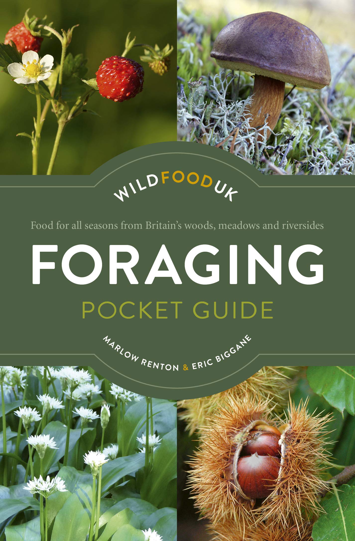 Foraging Pocket Guide: Food for all seasons from Britain's woods ...