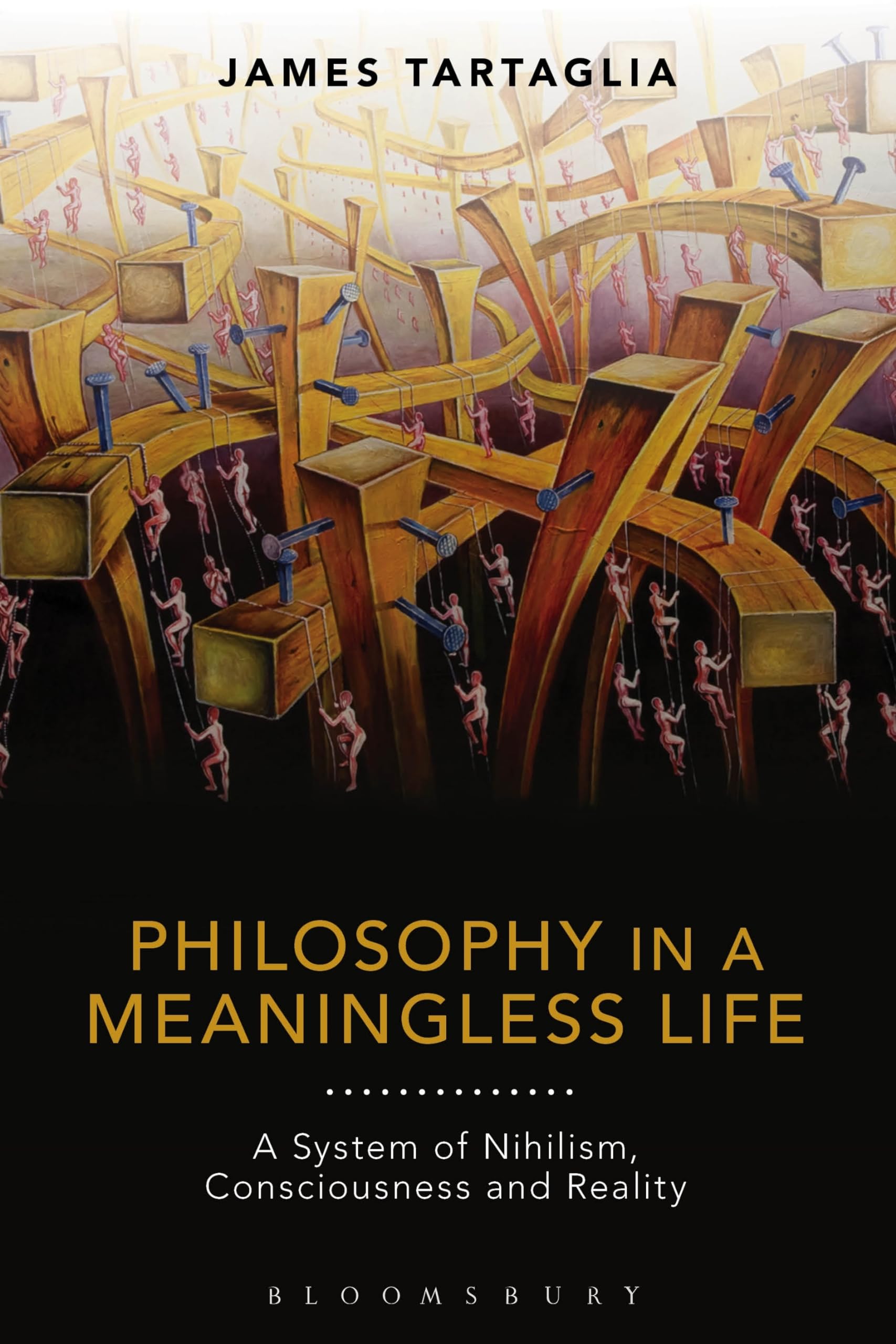 Philosophy in a Meaningless Life: A System of Nihilism, Consciousness ...