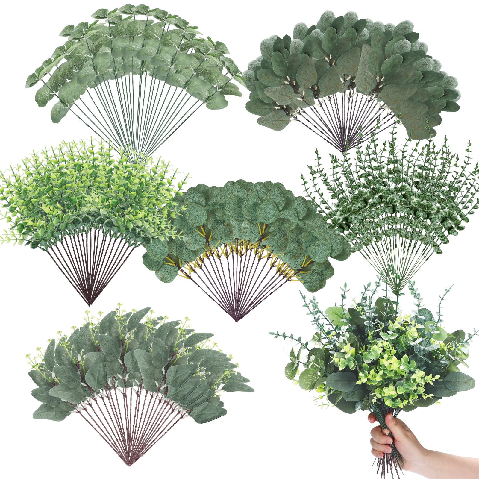 Amazon.com: Ceenna 300 Pcs 6 Kinds Mixed Eucalyptus Leaves Stems Bulk ...