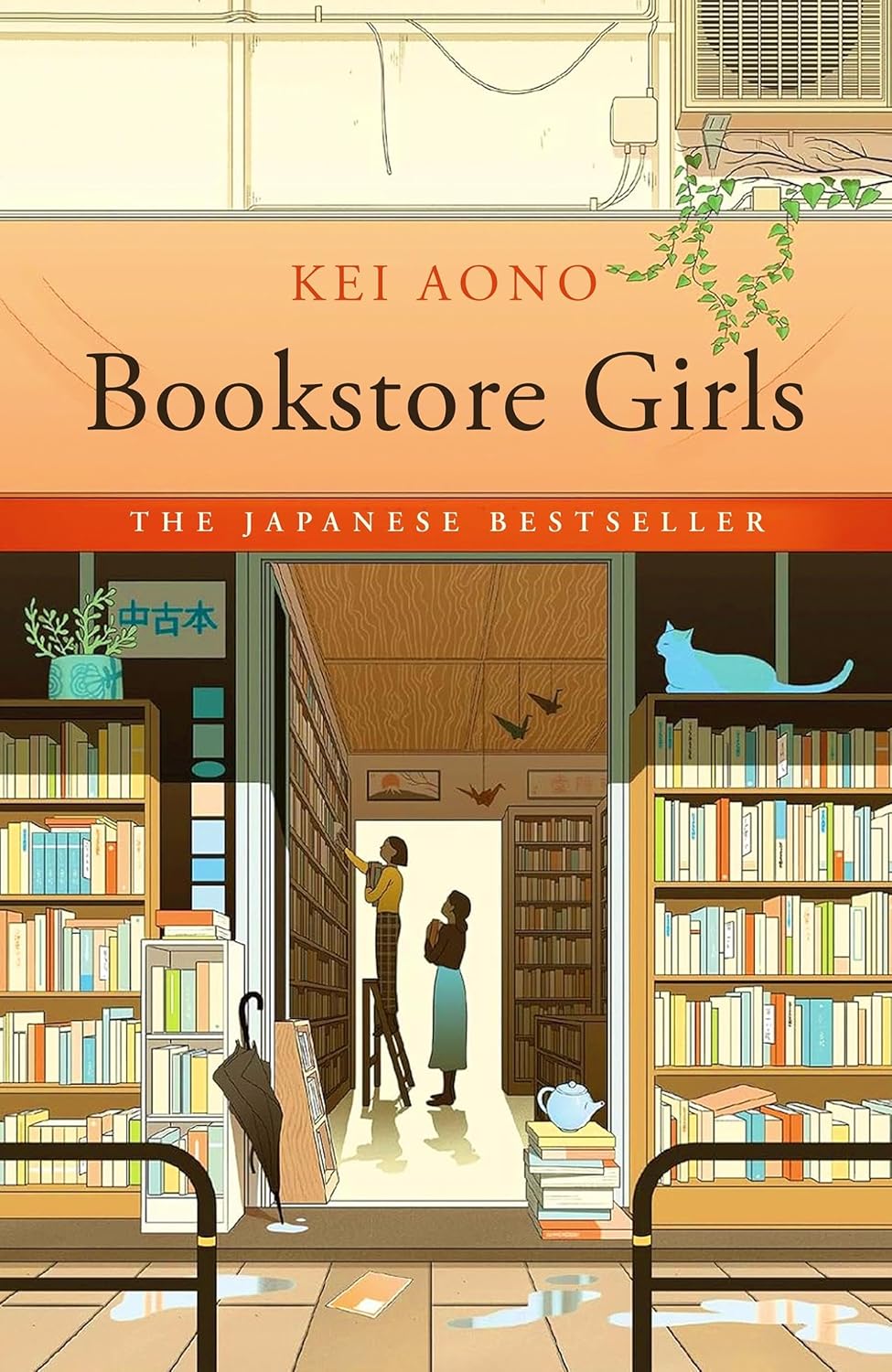 Bookstore Girls: Amazon.co.uk: Aono, Kei: 9781529446333: Books