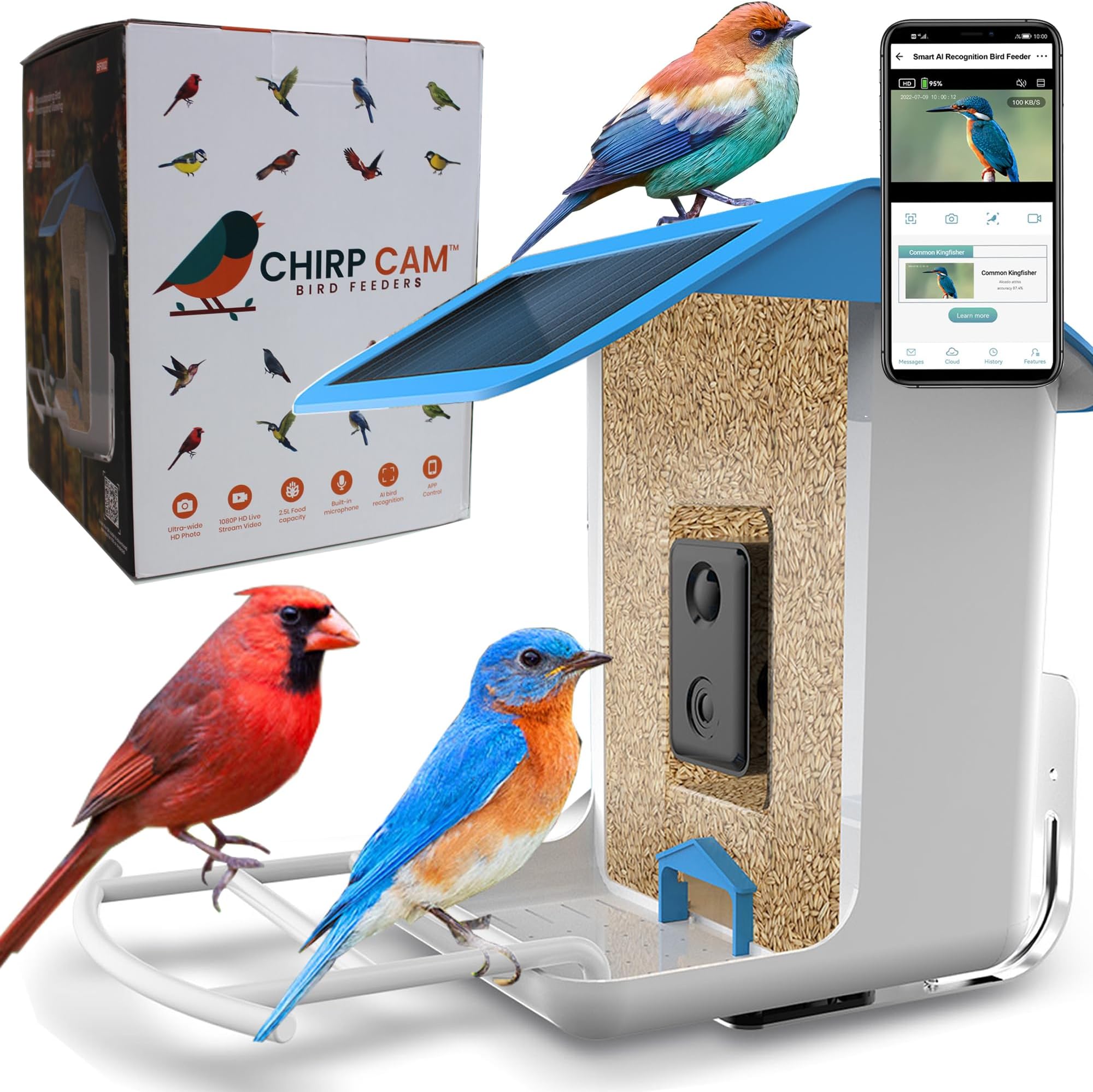 Amazon.com : Chirp Cam Smart Bird Feeders for Outside: Squirrel Proof ...