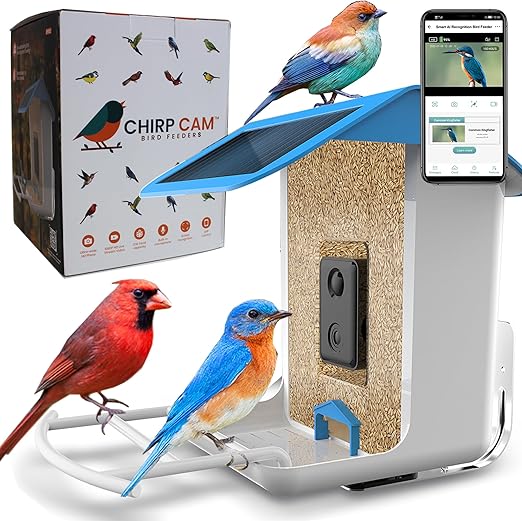 Amazon.com : Chirp Cam Smart Bird Feeder with Camera: Solar Powered, AI ...