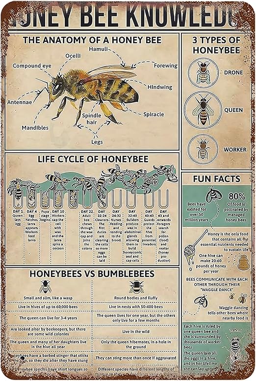 Amazon.com: Metal Tin Sign 8x12, Vintage Rustic Honey Bee Knowledge ...