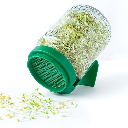 sprout-me Sprout Maker Box|Hygienic Glass Sprout Maker Jar With Air ...