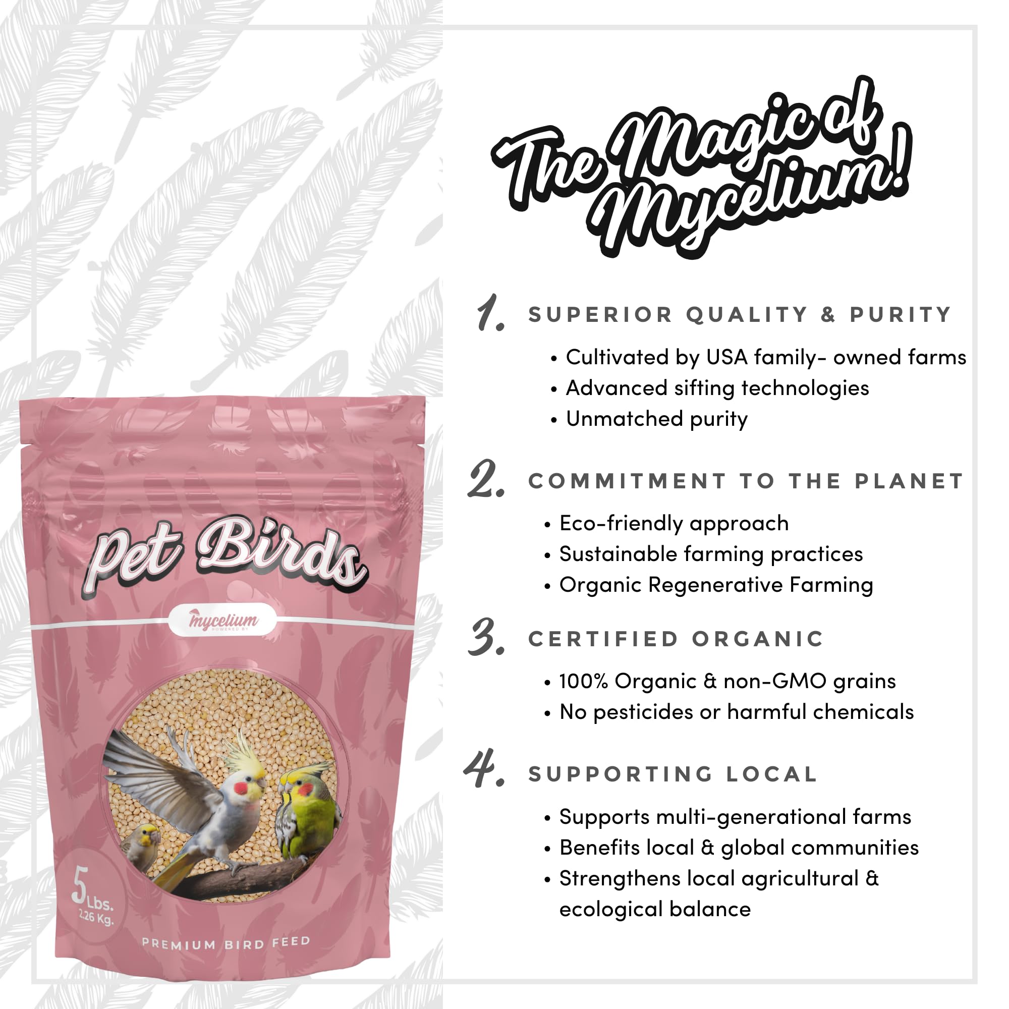 Snapklik.com : Premium Millet Organic, Non-GMO, High Nutritional Value ...