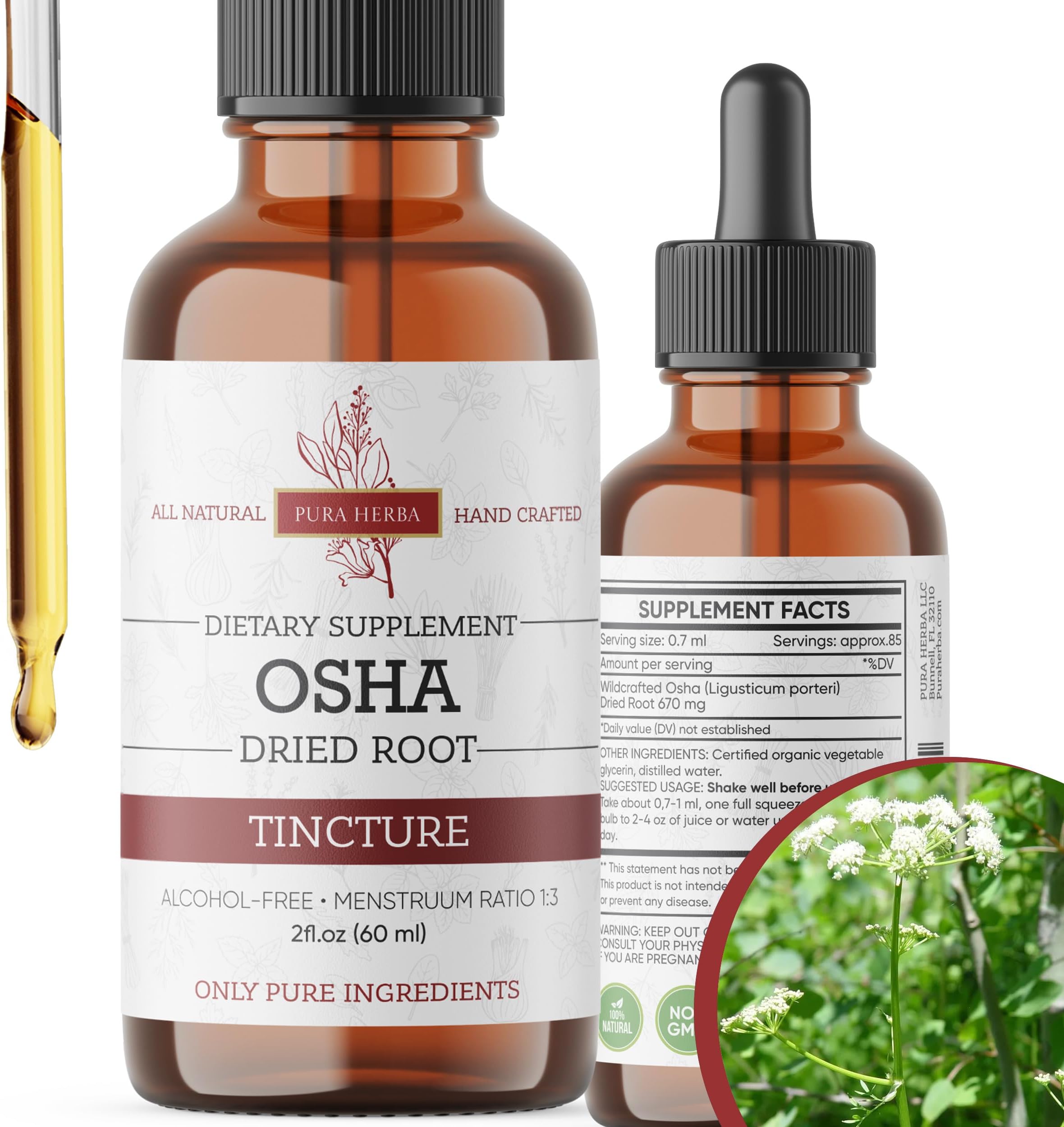 Amazon.com: Organic OSHA Root Tincture – Natural Respiratory Support ...