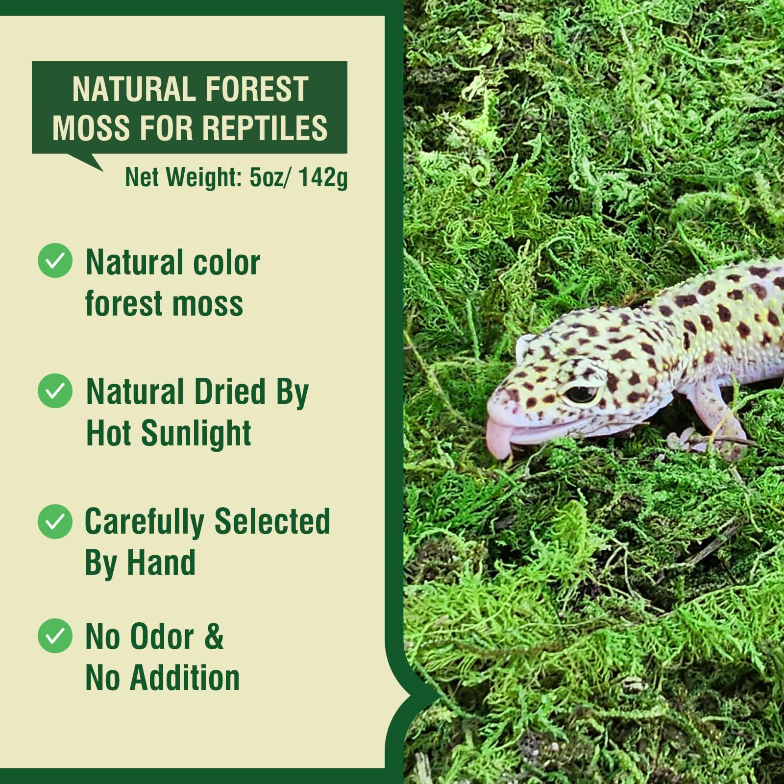 Leopard Gecko Sphagnum Moss Fo Eptiles, 30 Quats, Plants And Teaiums ...