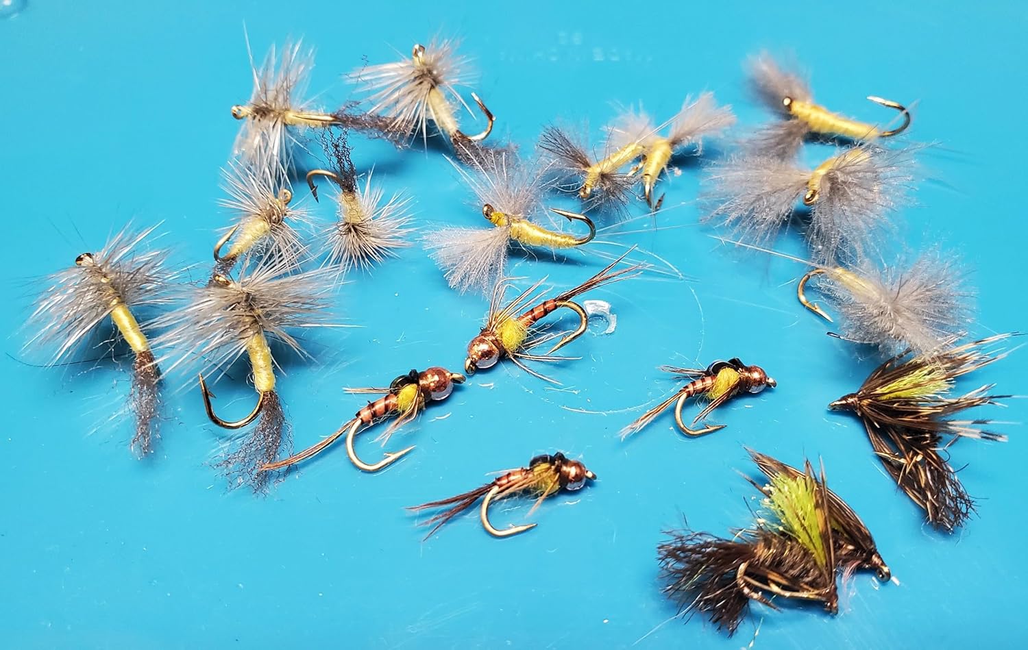 Amazon.com : Sulfur Life Cycle Fly Selection, Sulfur Dry Fly, Sulfur ...