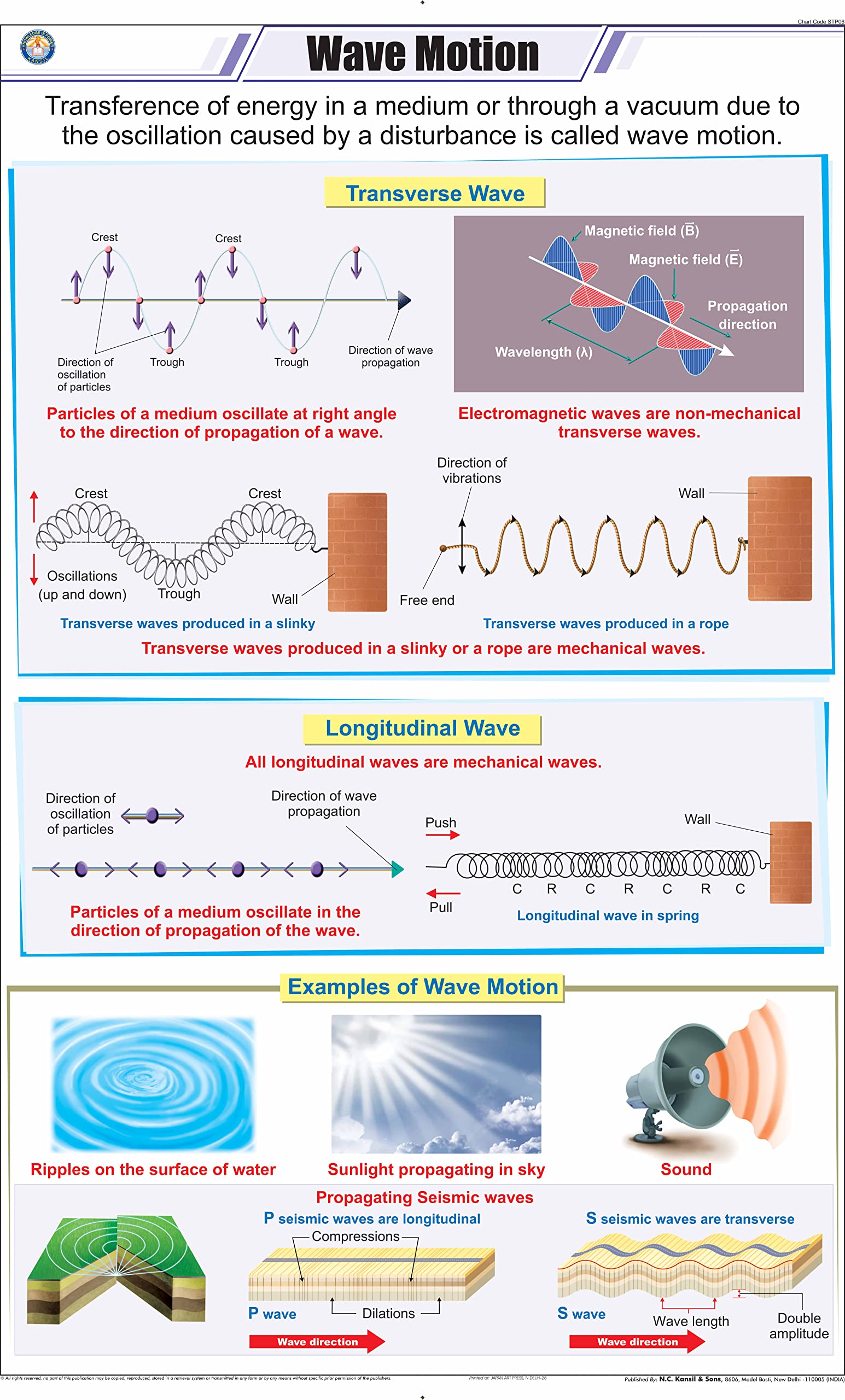 Buy STP06 | TeachingNest | Wave Motion Chart (58x90 cm) | English ...