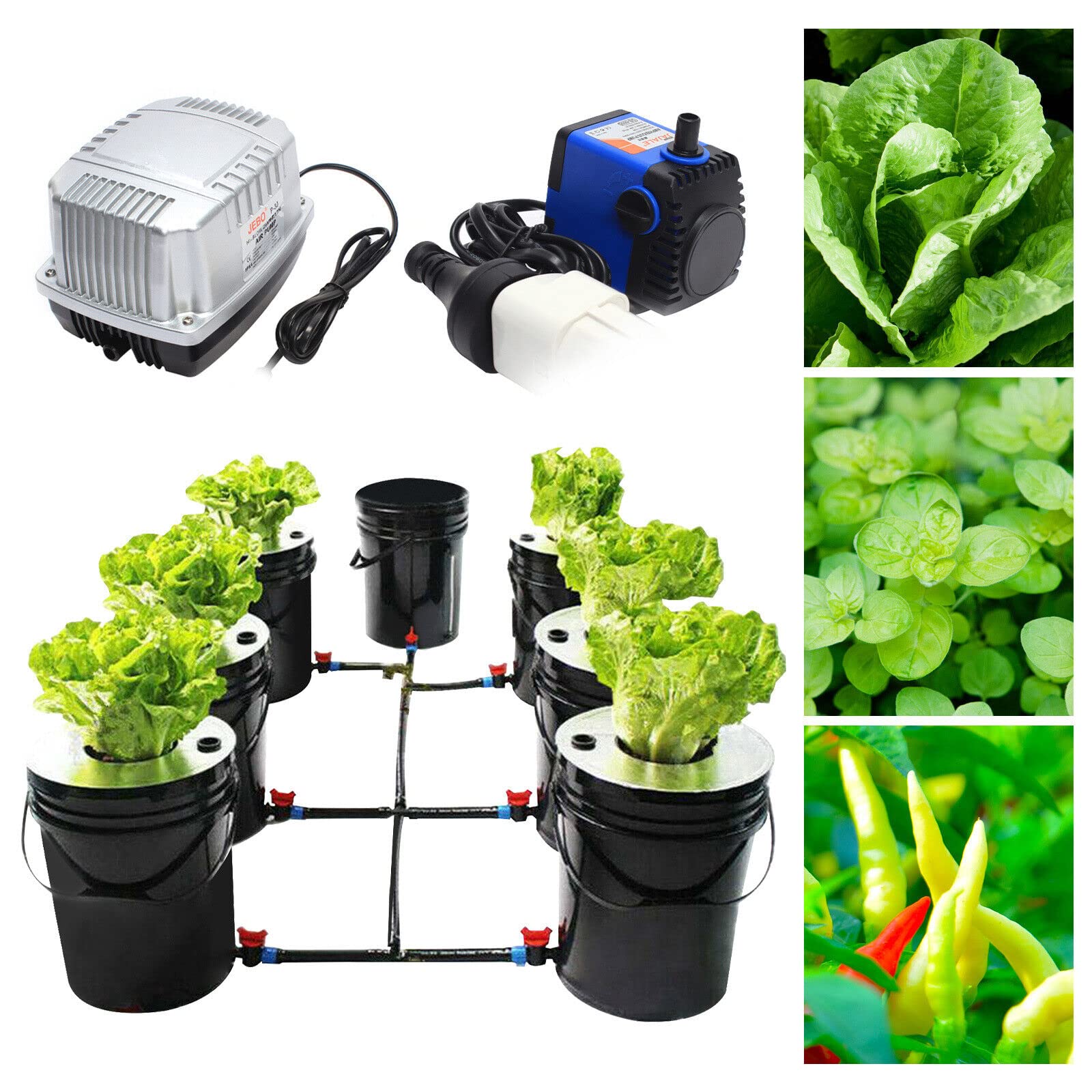 Amazon.com : RustyVioum Hydroponics Growing Kit, 7 Pot Hydroponic Grow ...