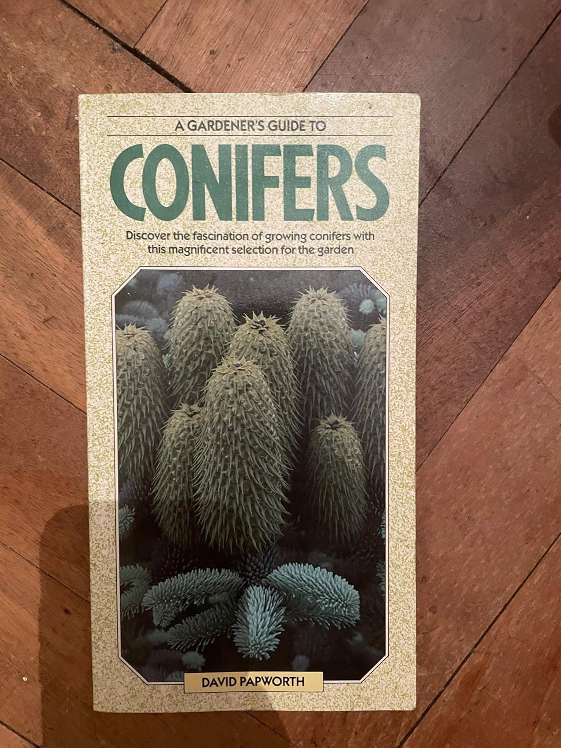 A Gardener's Guide to Conifers: Papworth, David: 9780861014118: Amazon ...